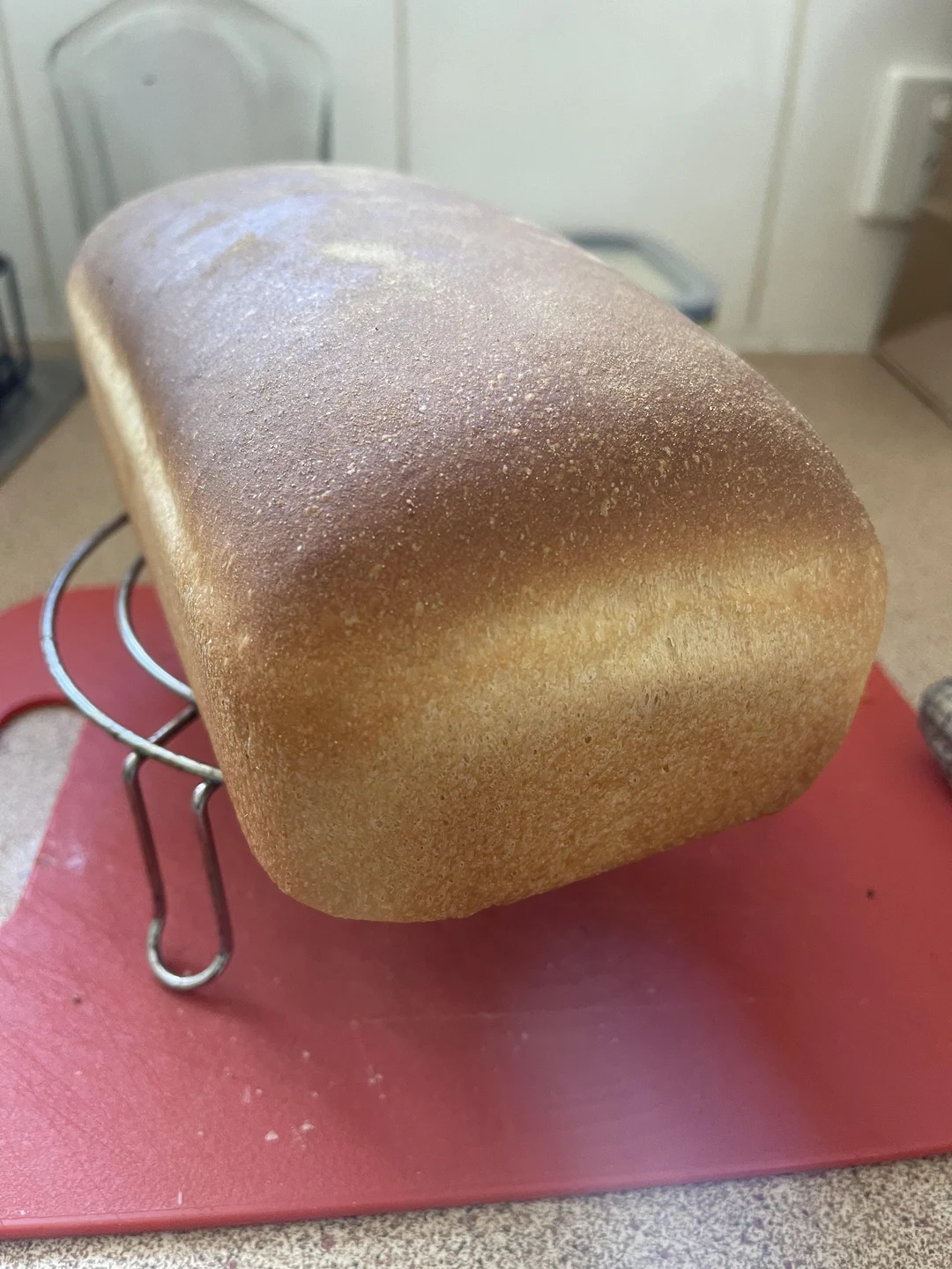 First sandwich loaf a success | Scrolller