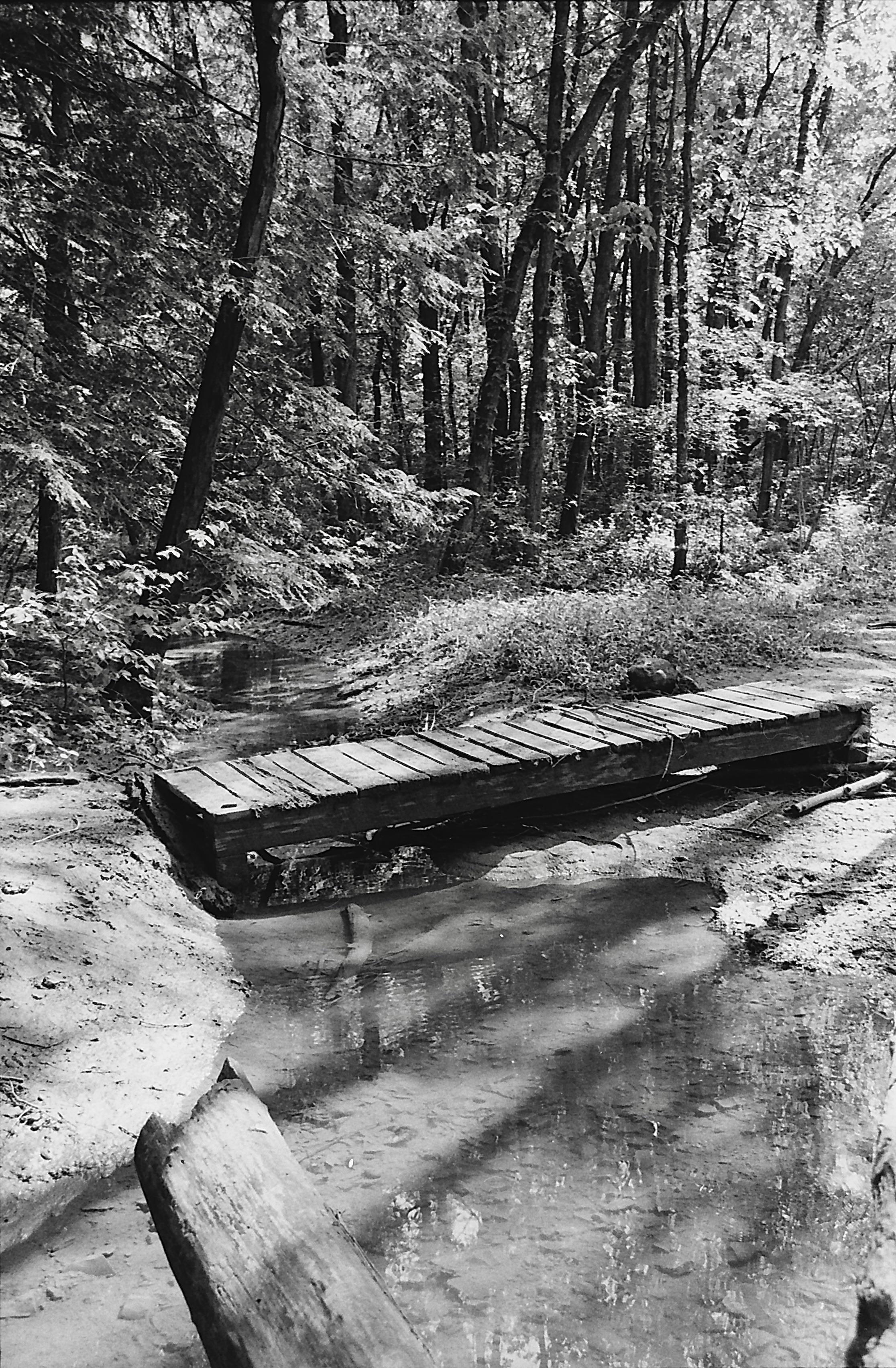 Creek Bridge | Scrolller