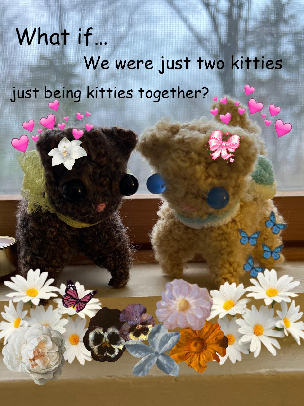 Made a meme of my two kitties lol | Scrolller