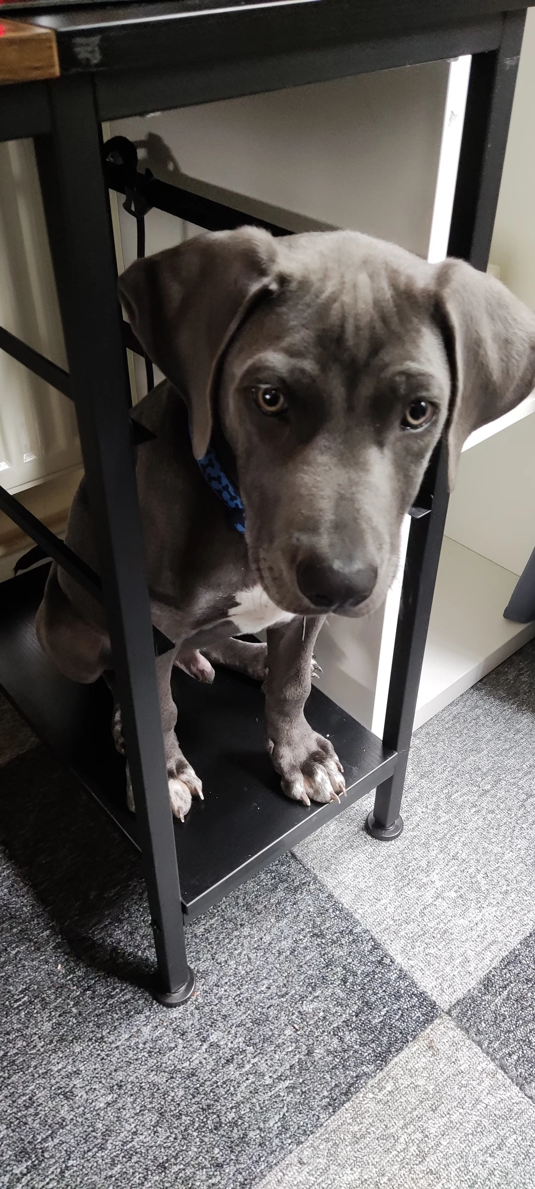 Help my pc tower makes strange noises when I try to switch it on. | Scrolller