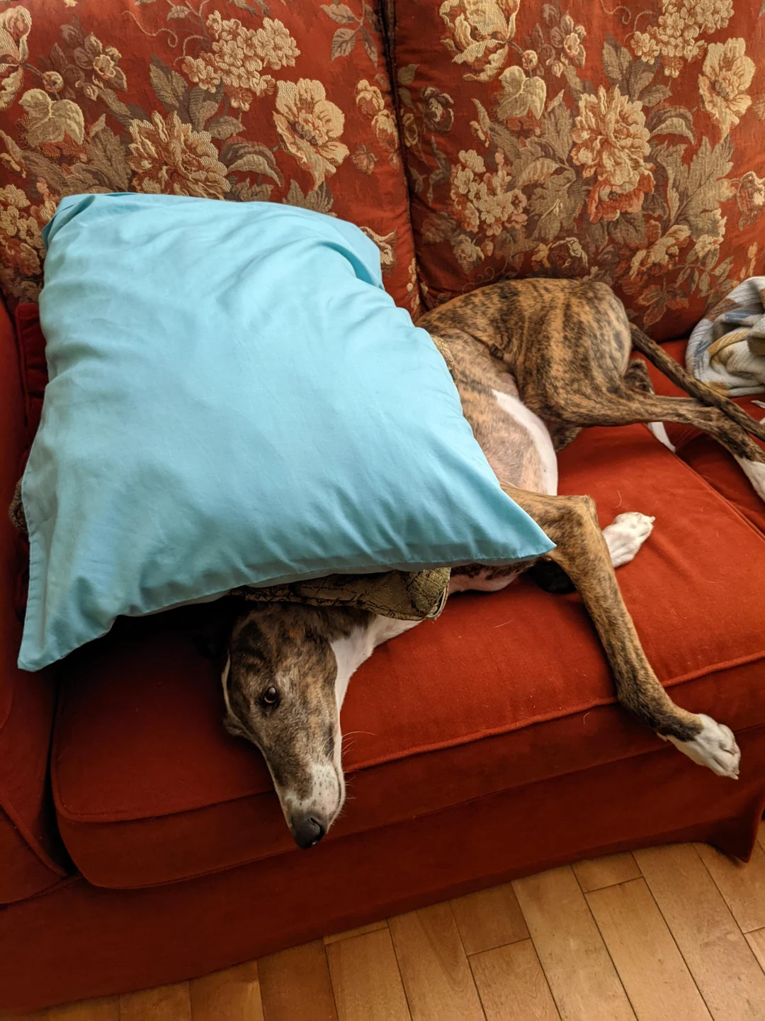 Well... Ok then... | Scrolller