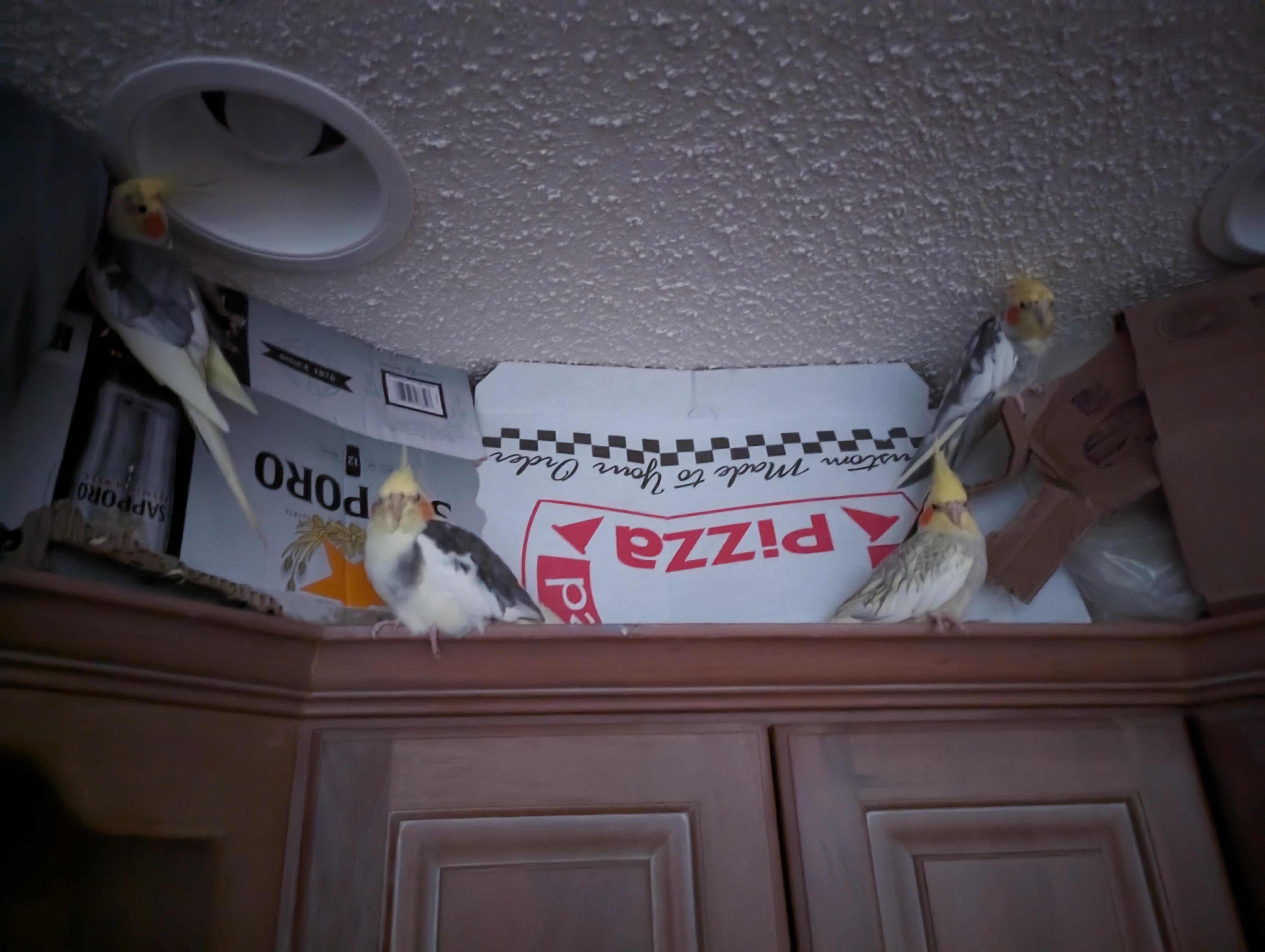 Symmetry | Scrolller