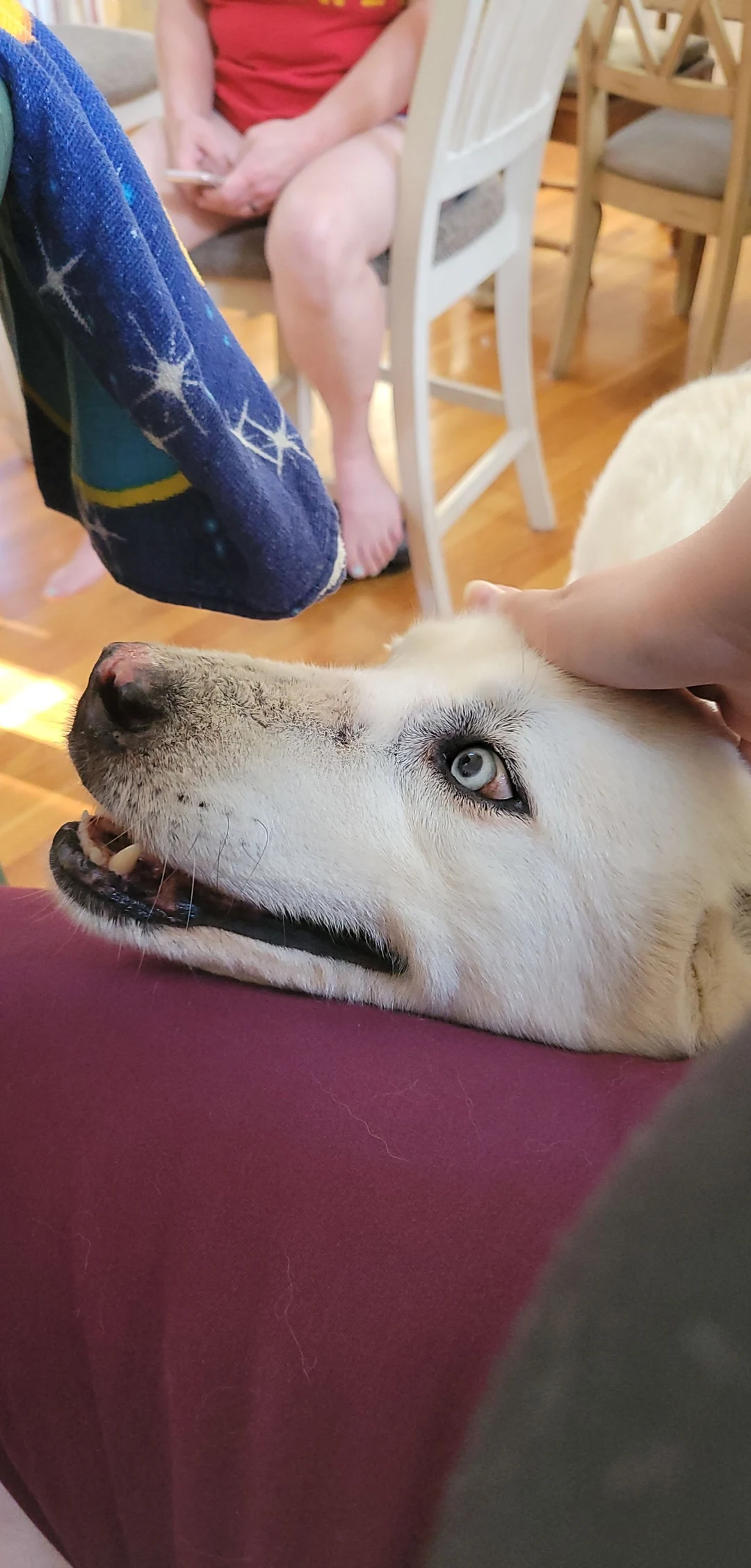 He looks like a wizard about to receive magic powers | Scrolller