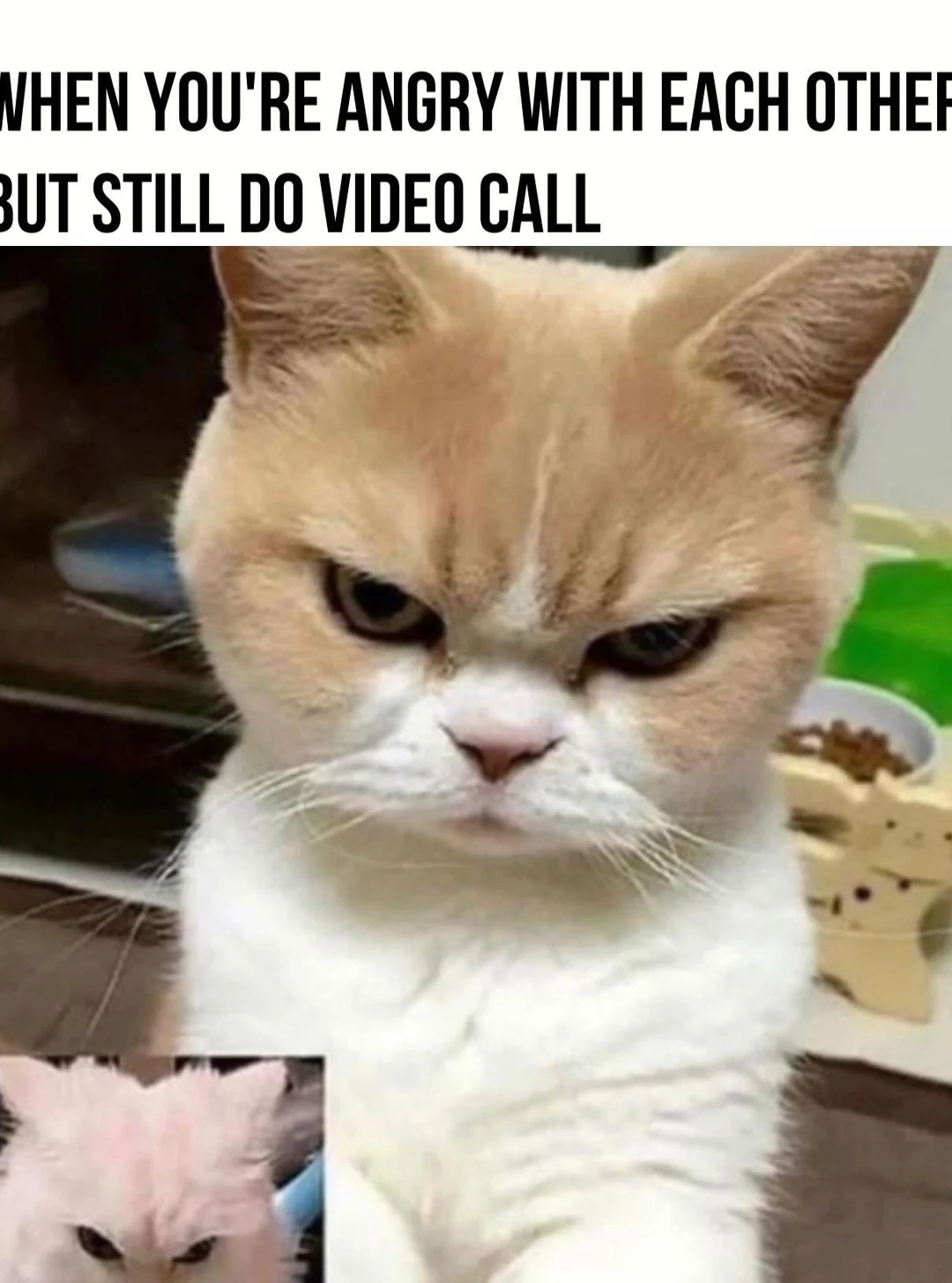 Why is that so funny? | Scrolller