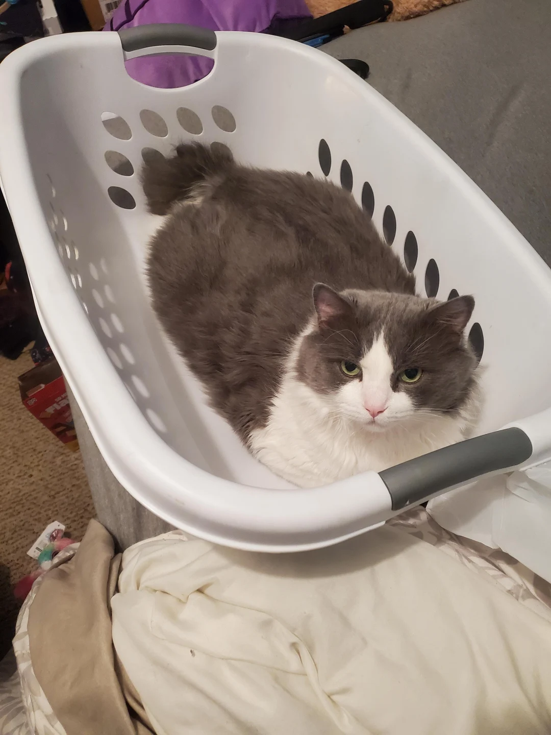 Laundry trap | Scrolller