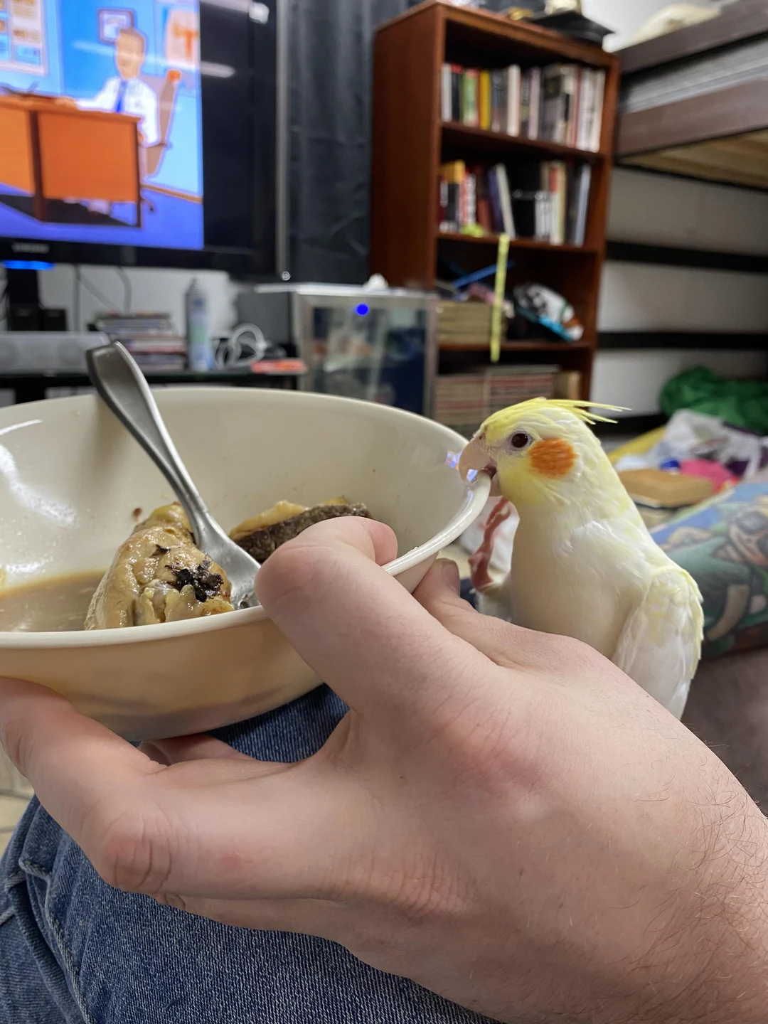 Crazy chicken trying to eat chicken | Scrolller