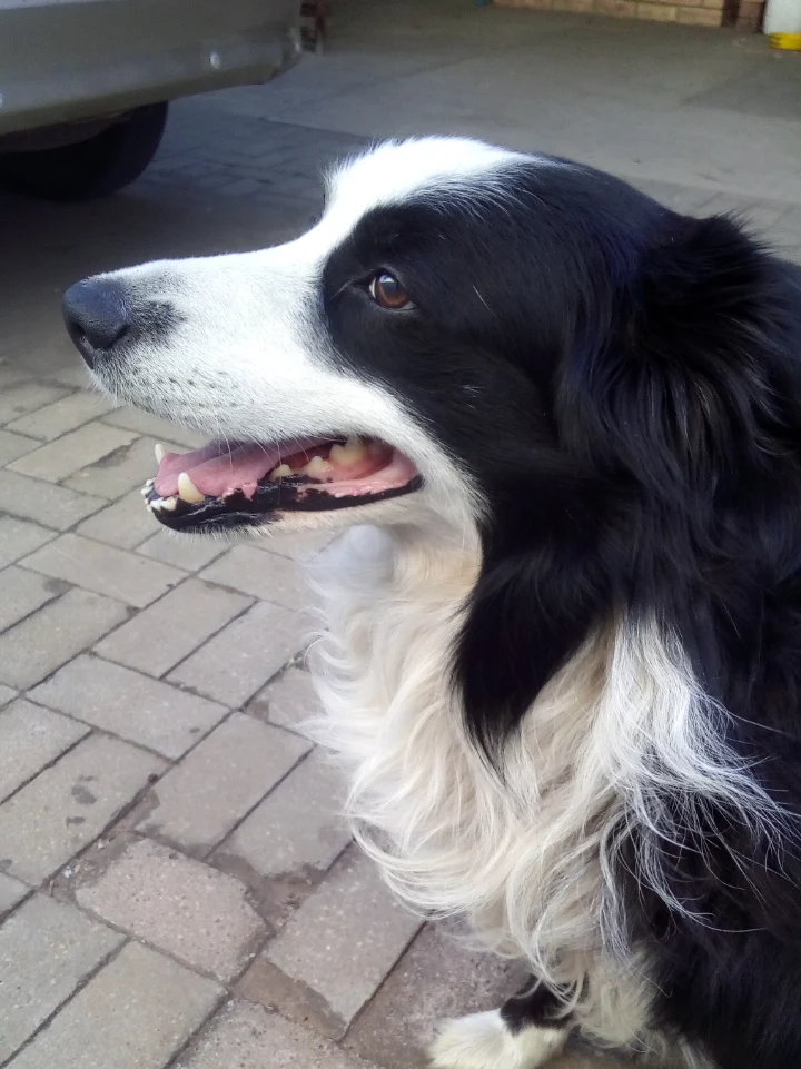 Ten years old. | Scrolller