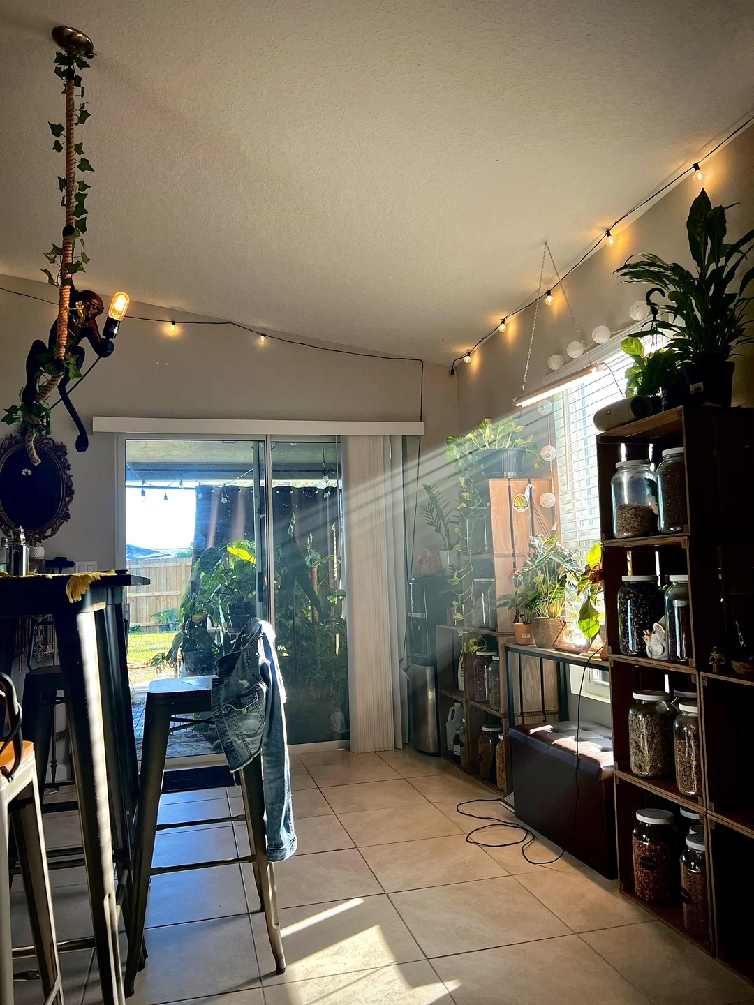 Dining room jungle vibes | Scrolller