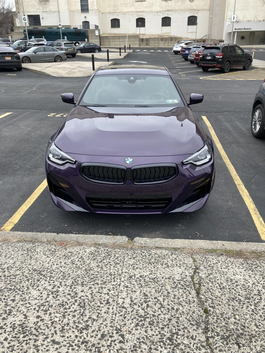 My first BMW is a grape! | Scrolller