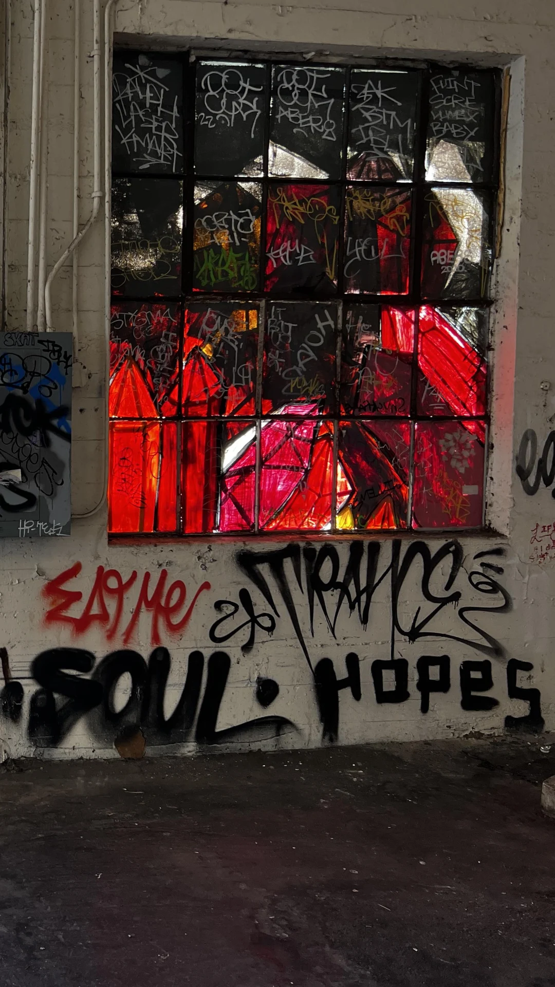 trance (capitol hill, seattle) | Scrolller