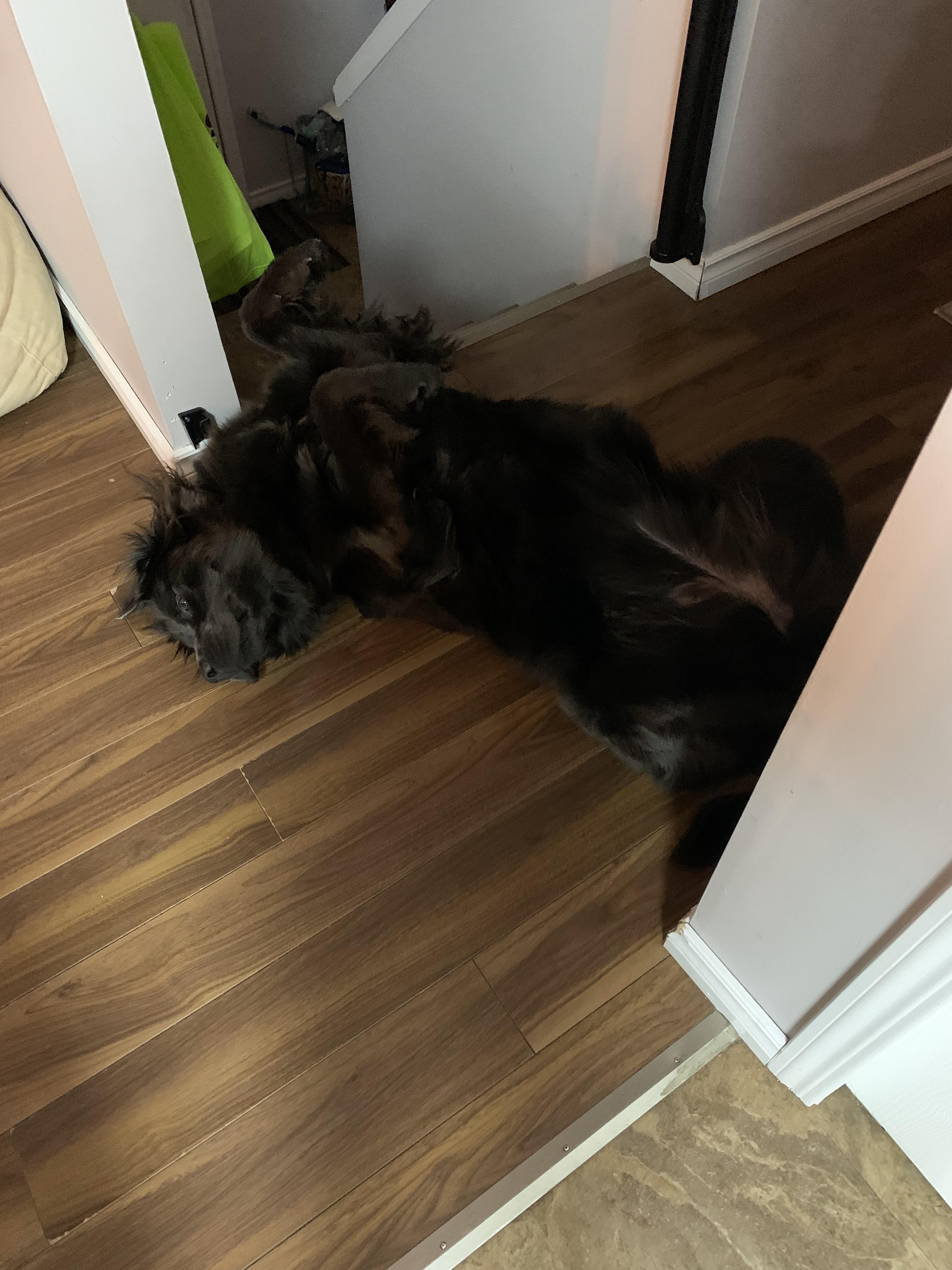 June wanting Cuddles | Scrolller