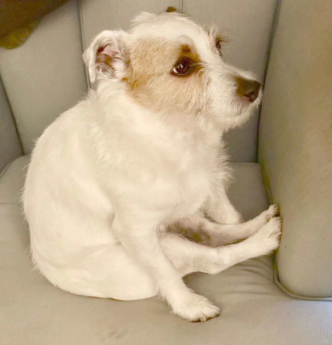 She sits in many weird ways | Scrolller