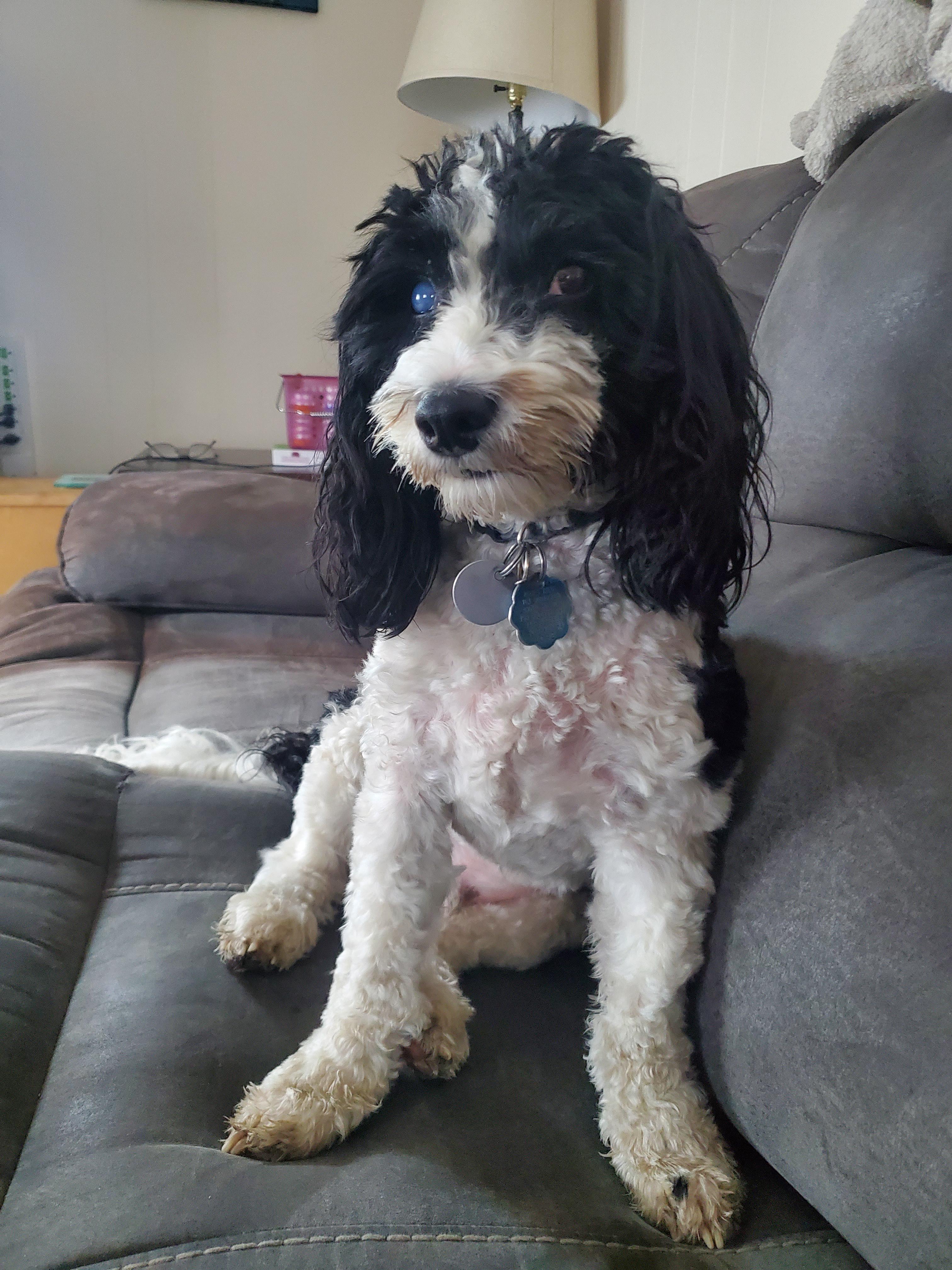 Meet Jack | Scrolller