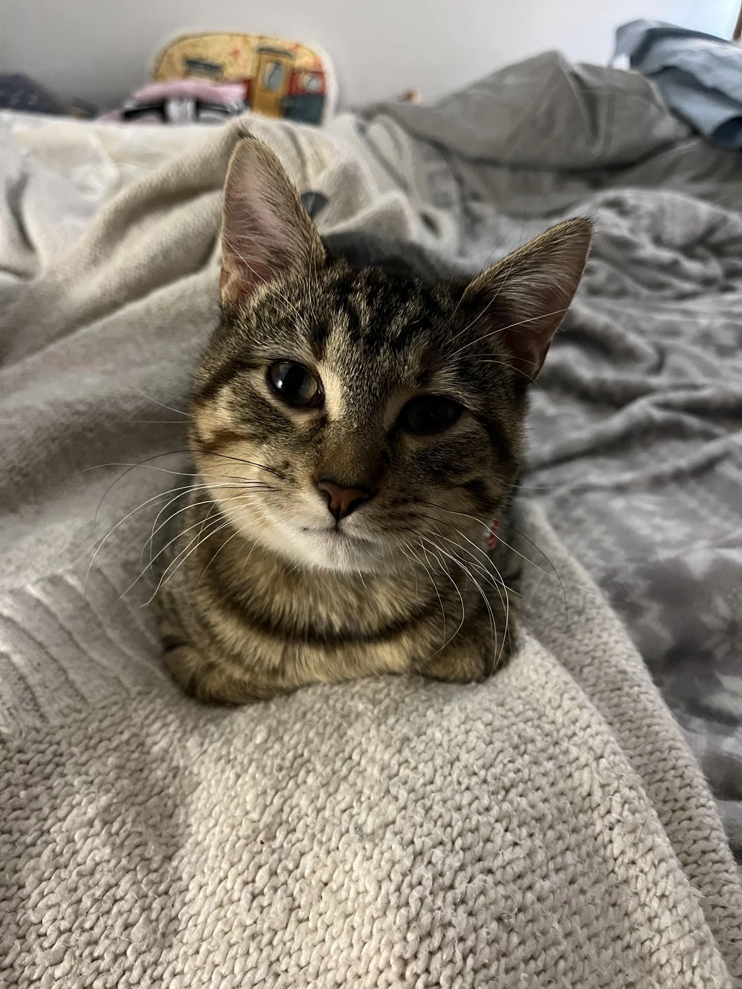 Rate my tiny loaf | Scrolller