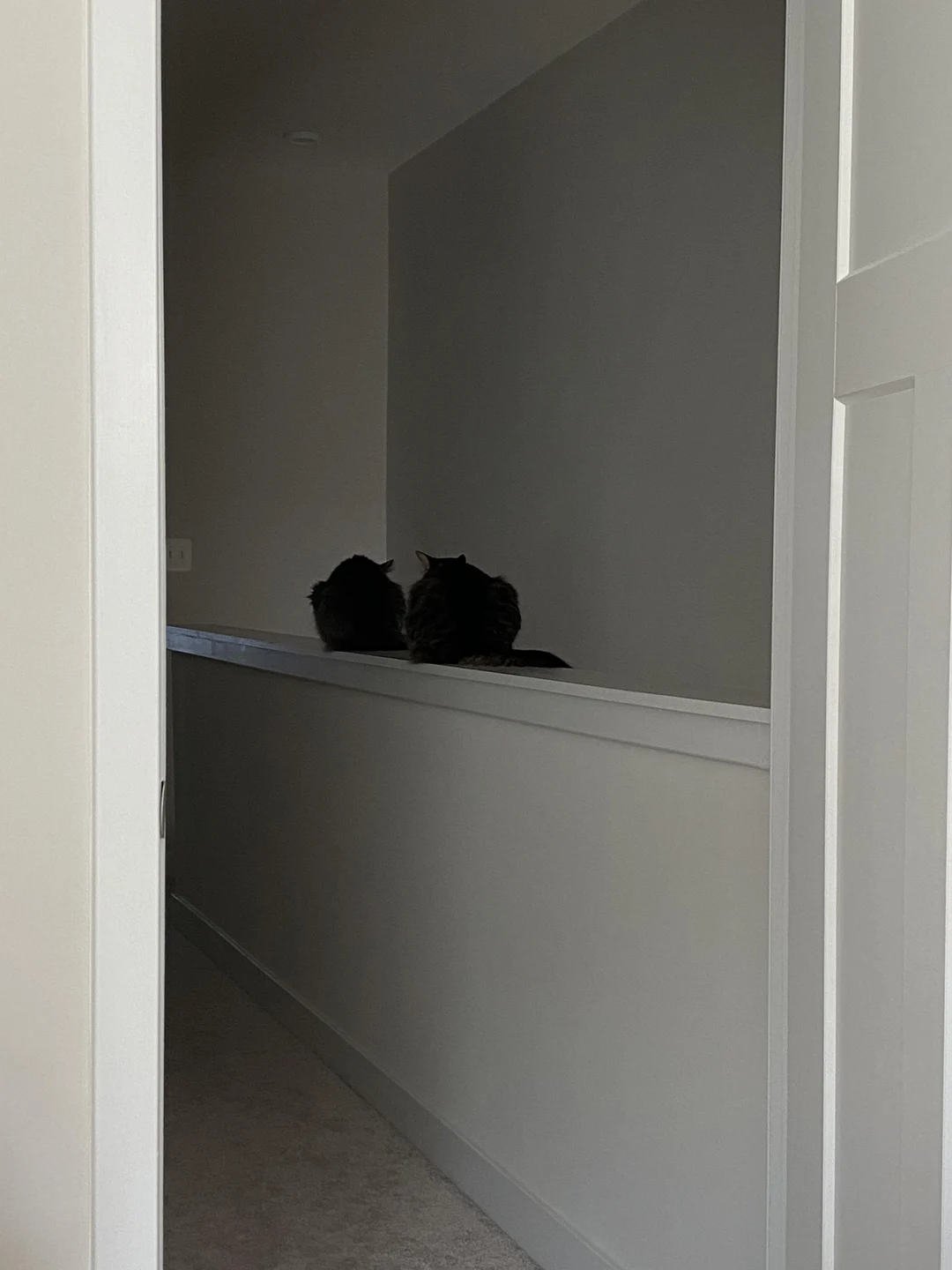 Two loafs on a ledge | Scrolller