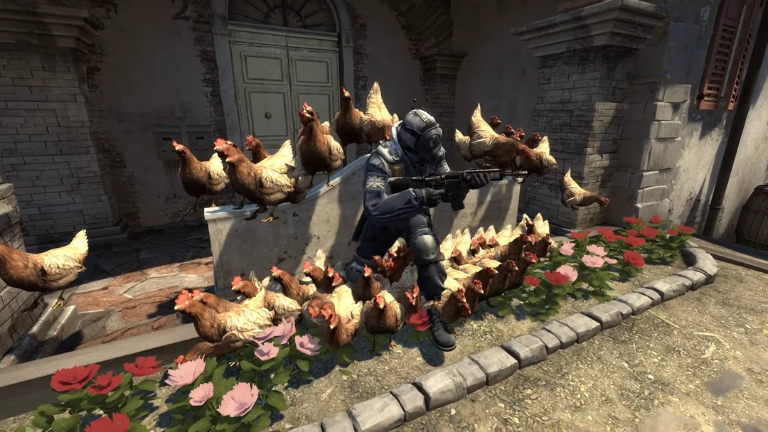 Hidden Amongst the Chickens [1920x1080] | Scrolller