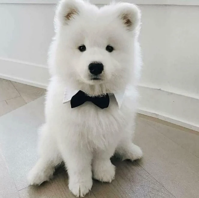 cute hero | Scrolller