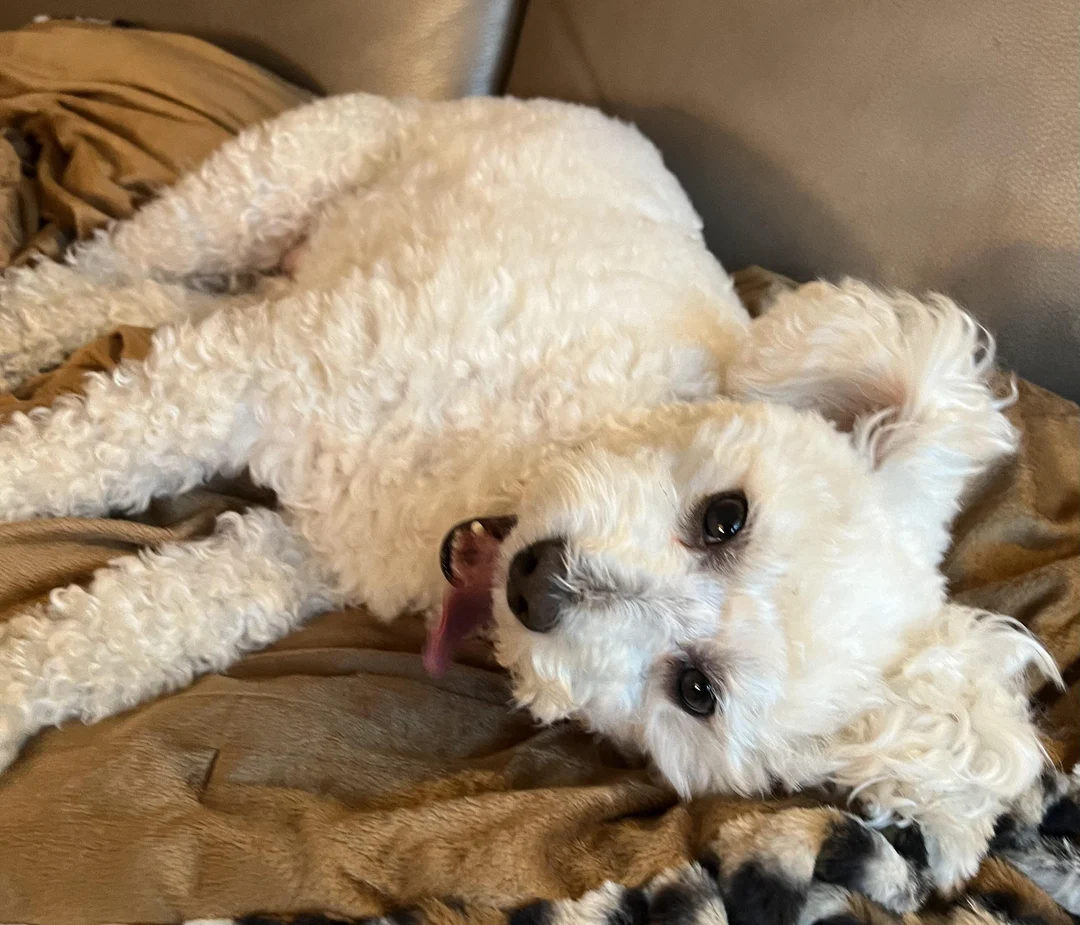 Caught her making a goofy face | Scrolller