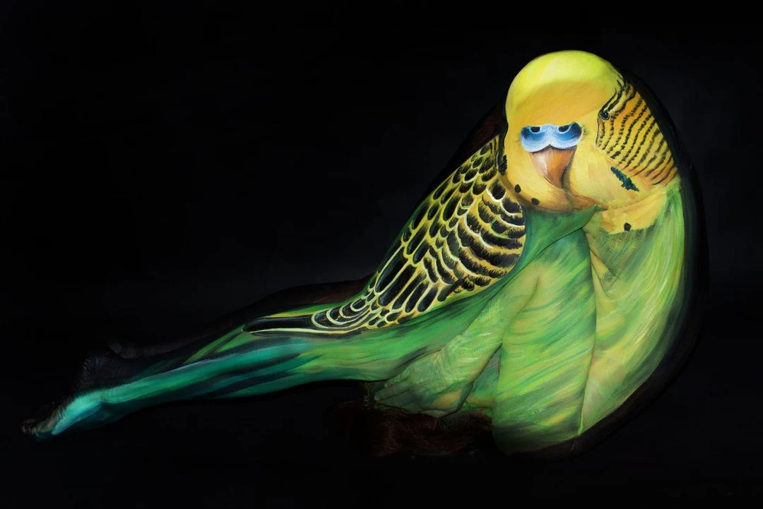Budgerigar, Gesine Marwedel, bodypaint on human, 2013 | Scrolller