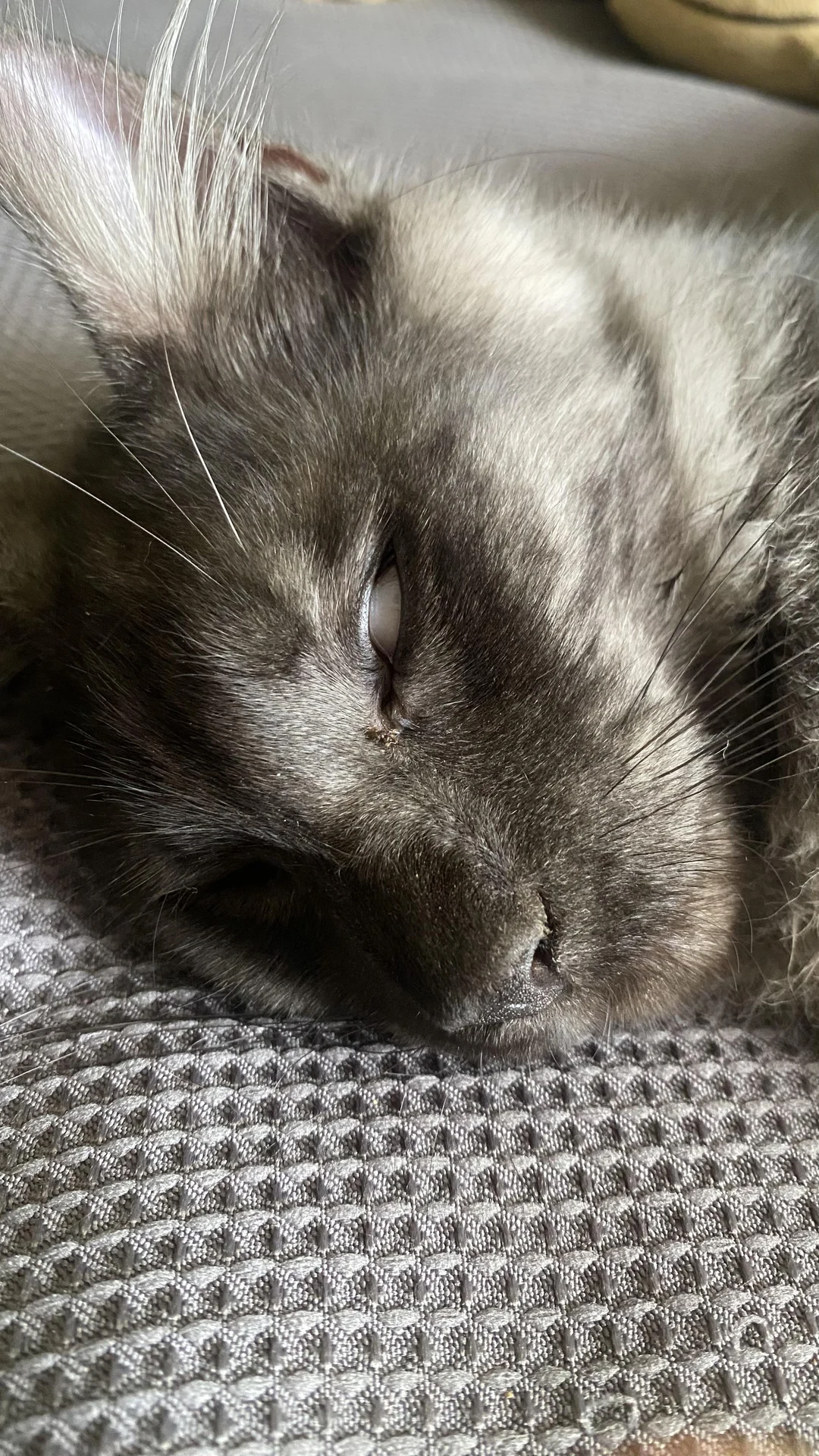 Is this normal | Scrolller