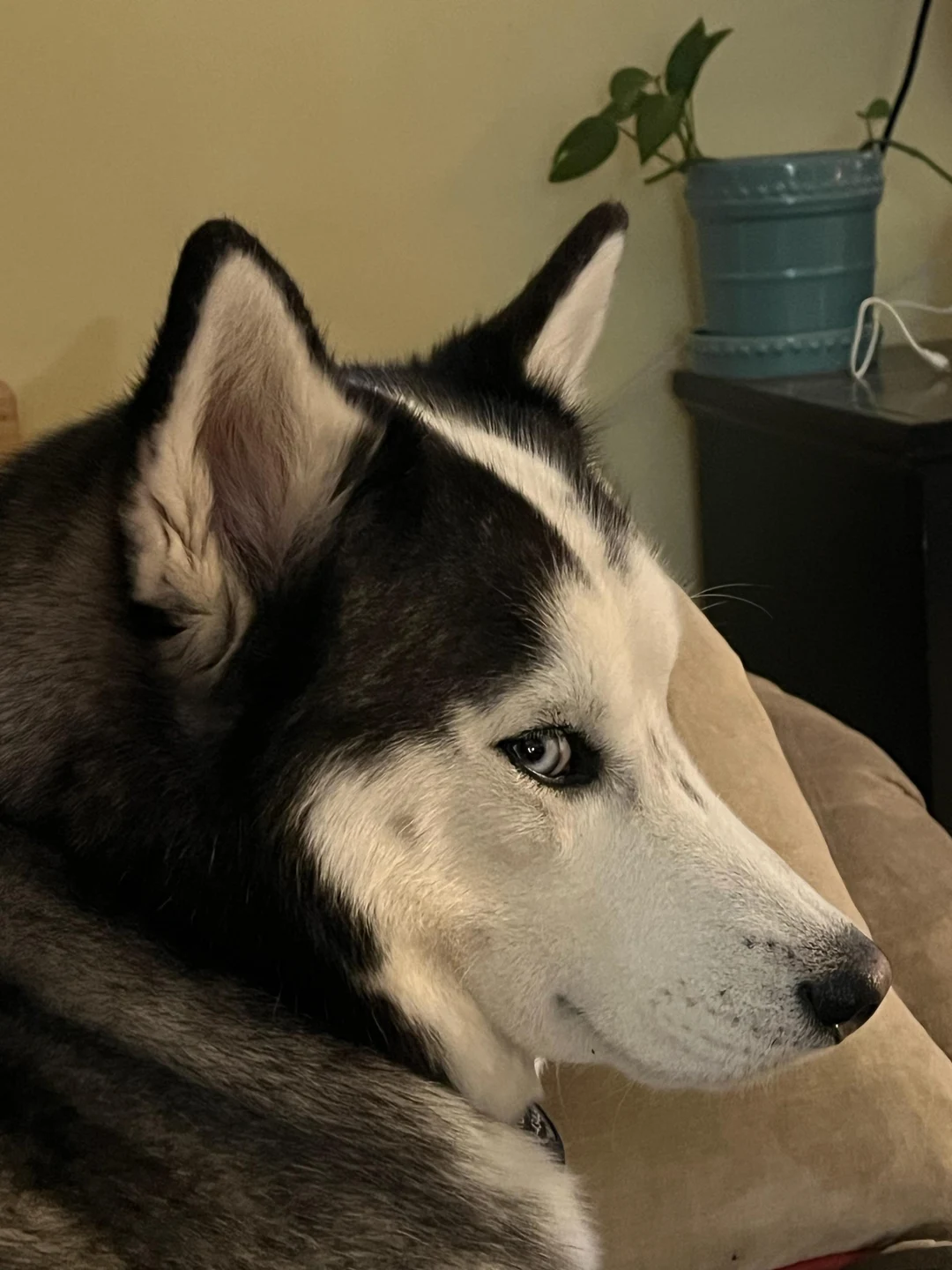 Ultimate side eye | Scrolller