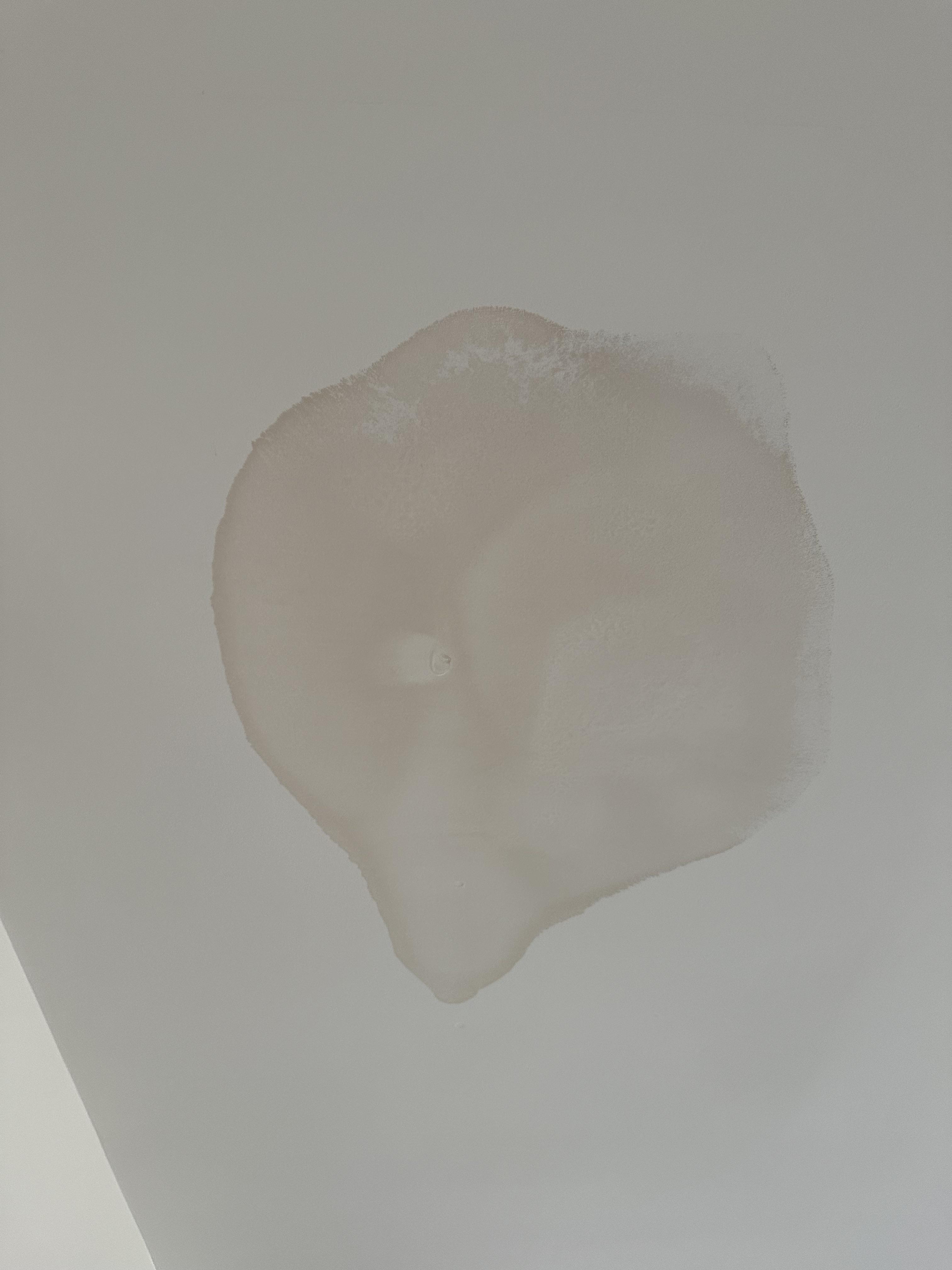 Ceiling stain advice? | Scrolller