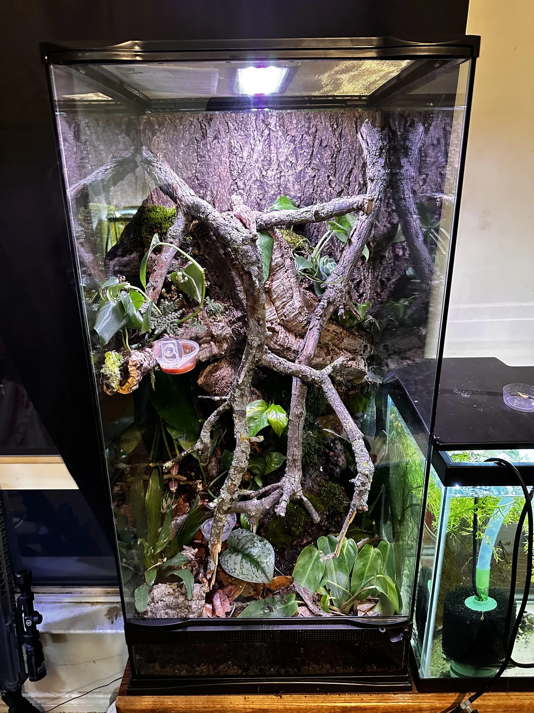 The enclosure is finally starting to come together | Scrolller