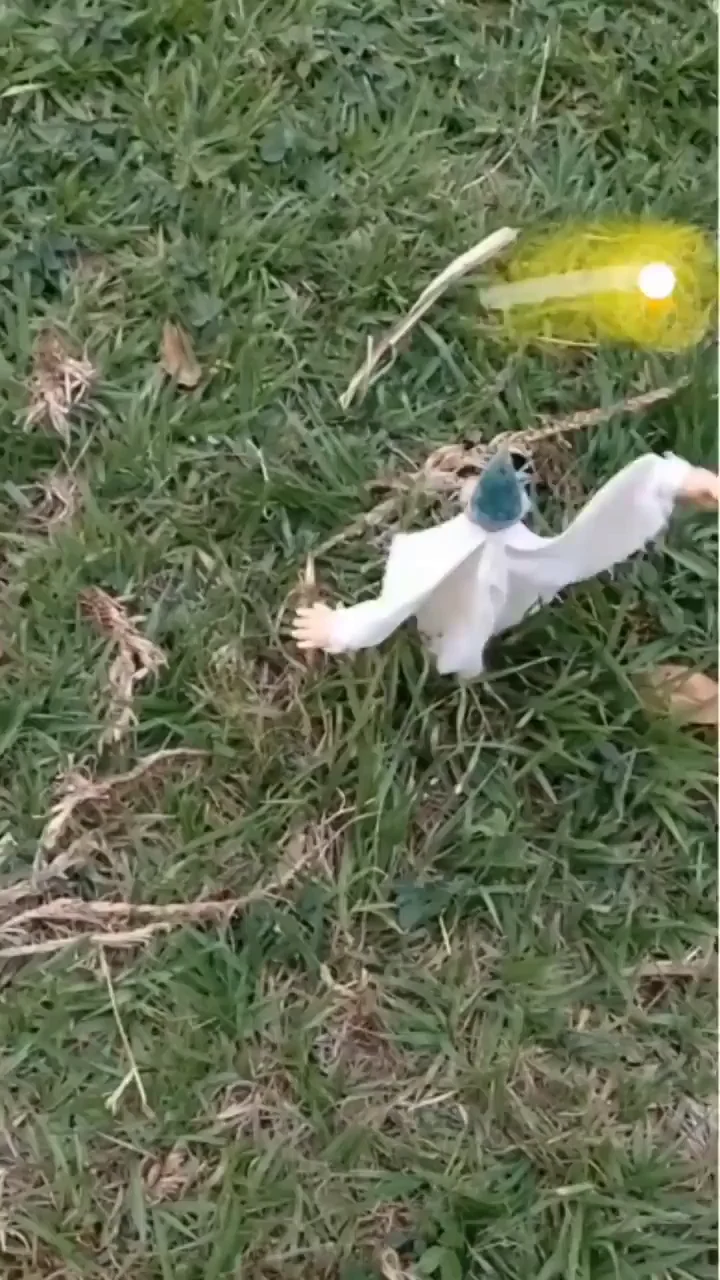 Don't fight the rhythm | Scrolller