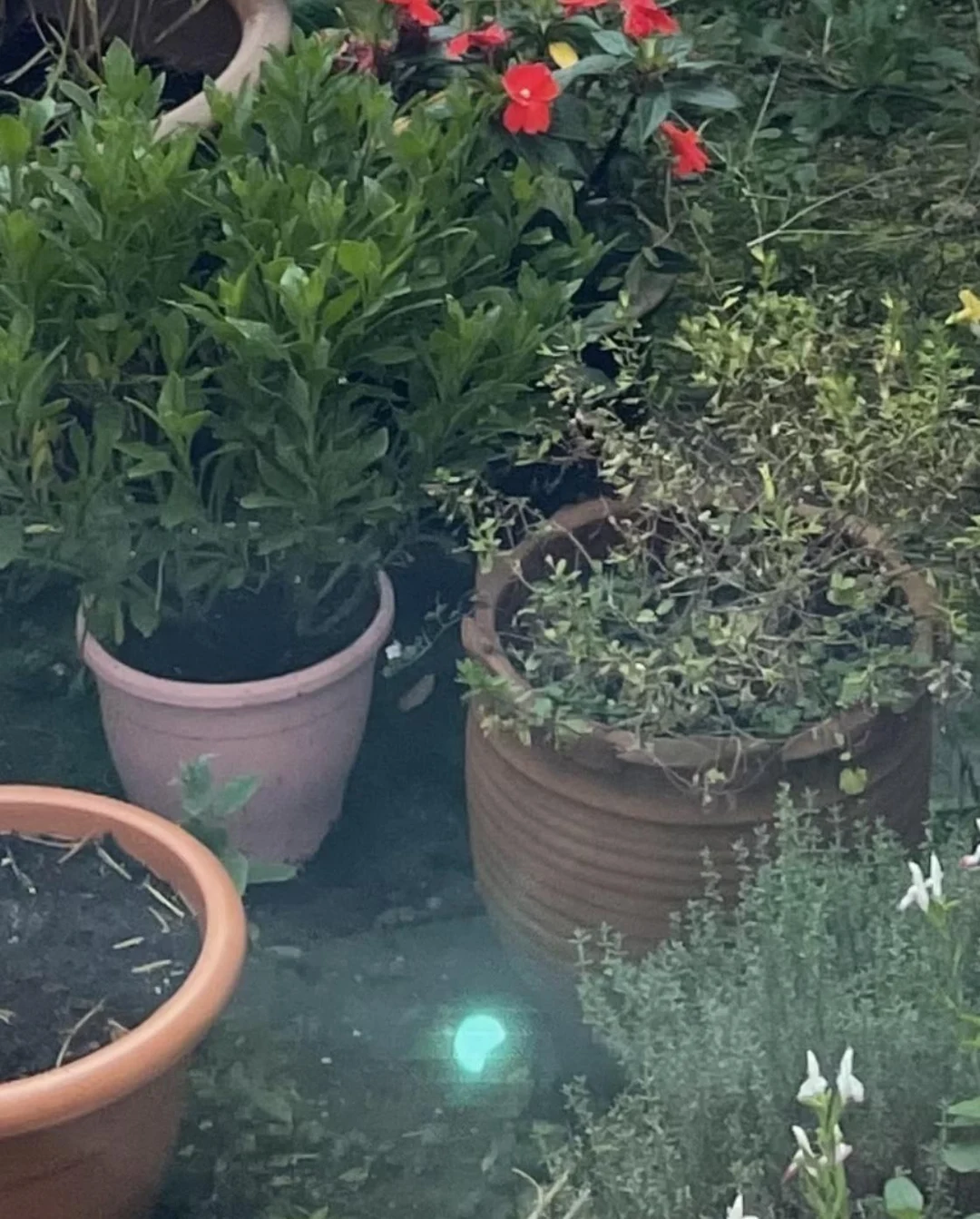 My phone could catch the solar eclipse [OC] | Scrolller