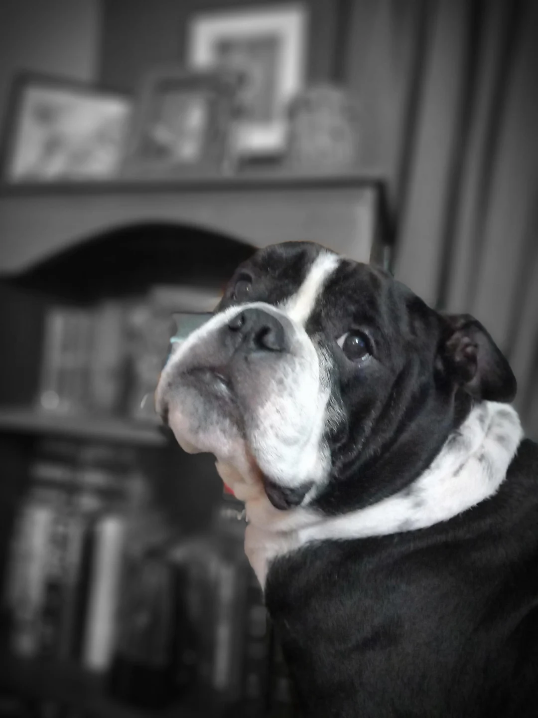 Goodbye bro | Scrolller