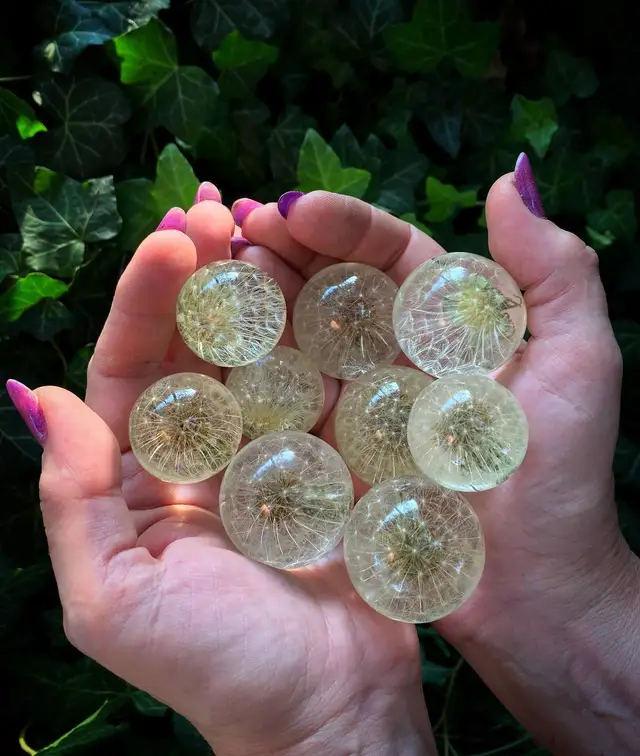 Real dandelions in resin | Scrolller