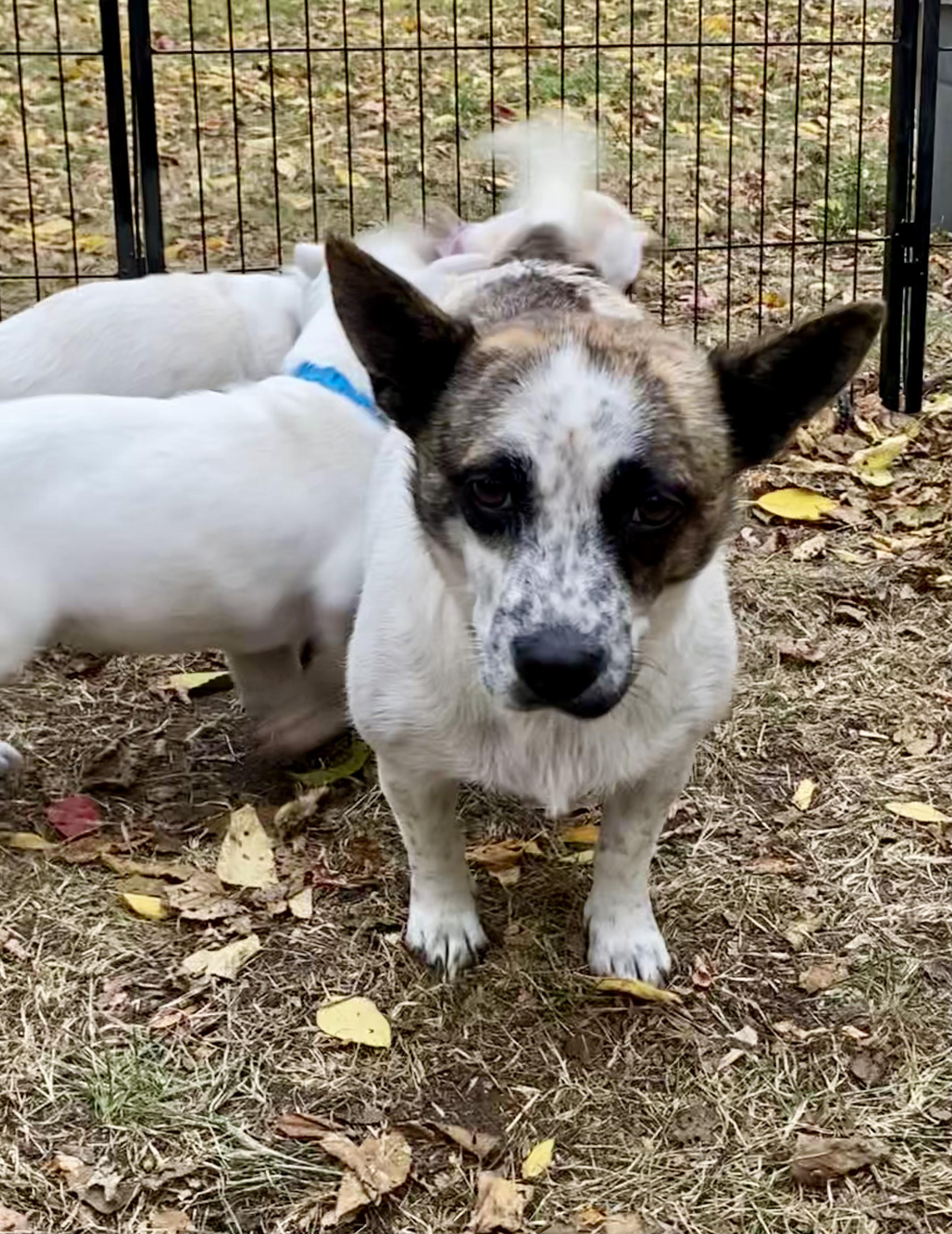 Proud mama | Scrolller