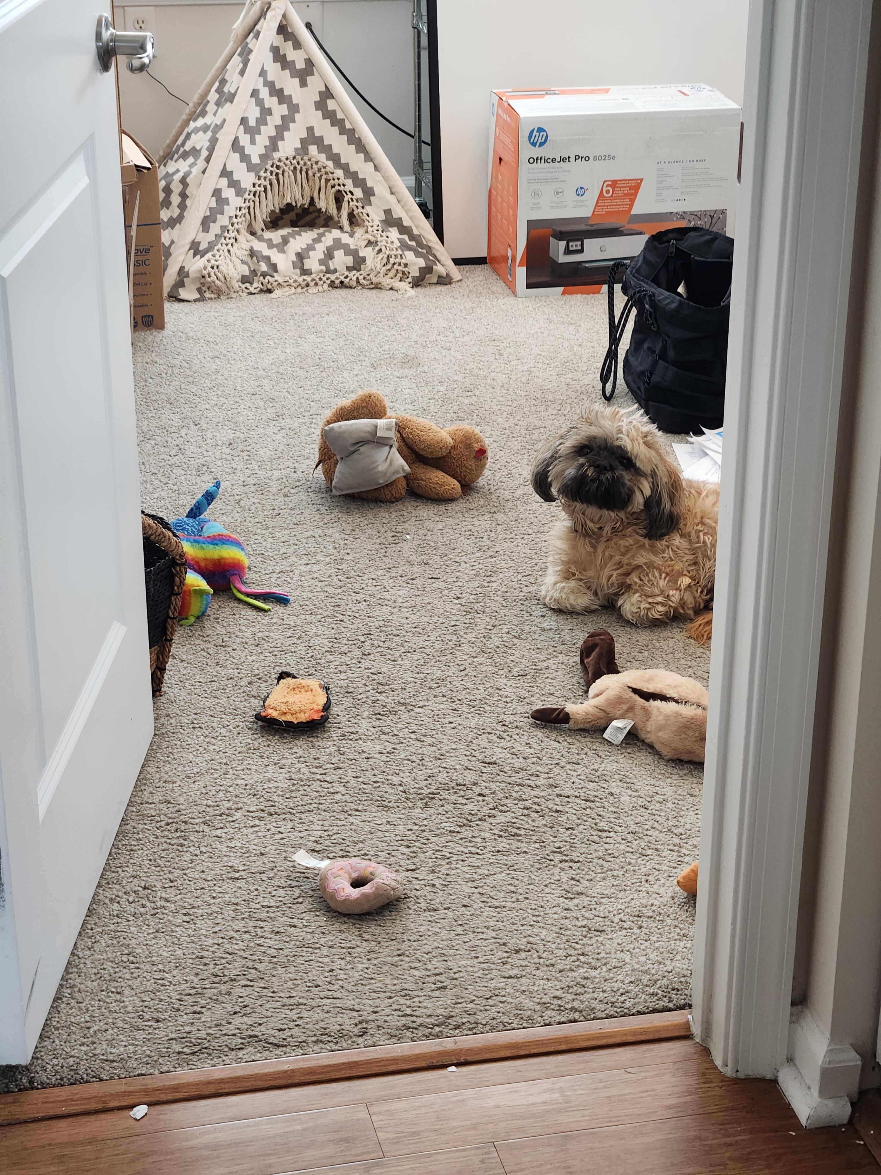 Chico and his toys | Scrolller