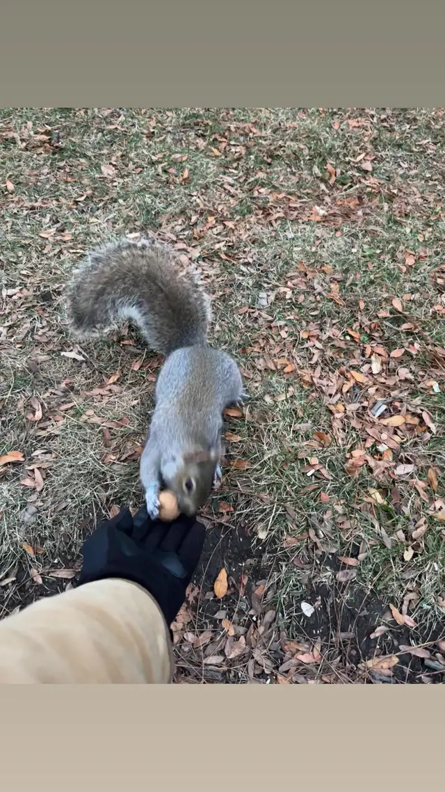 Feeding Question | Scrolller