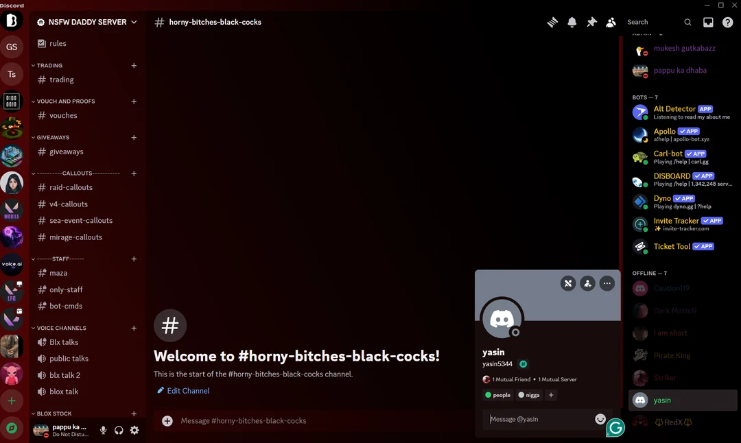 Discord NSFW server owner | Scrolller