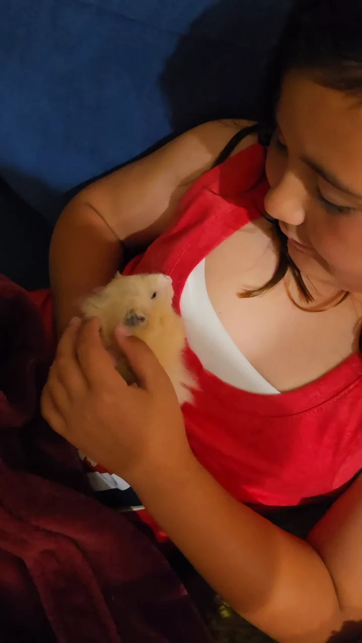 Sweet moments with Gus Gus | Scrolller