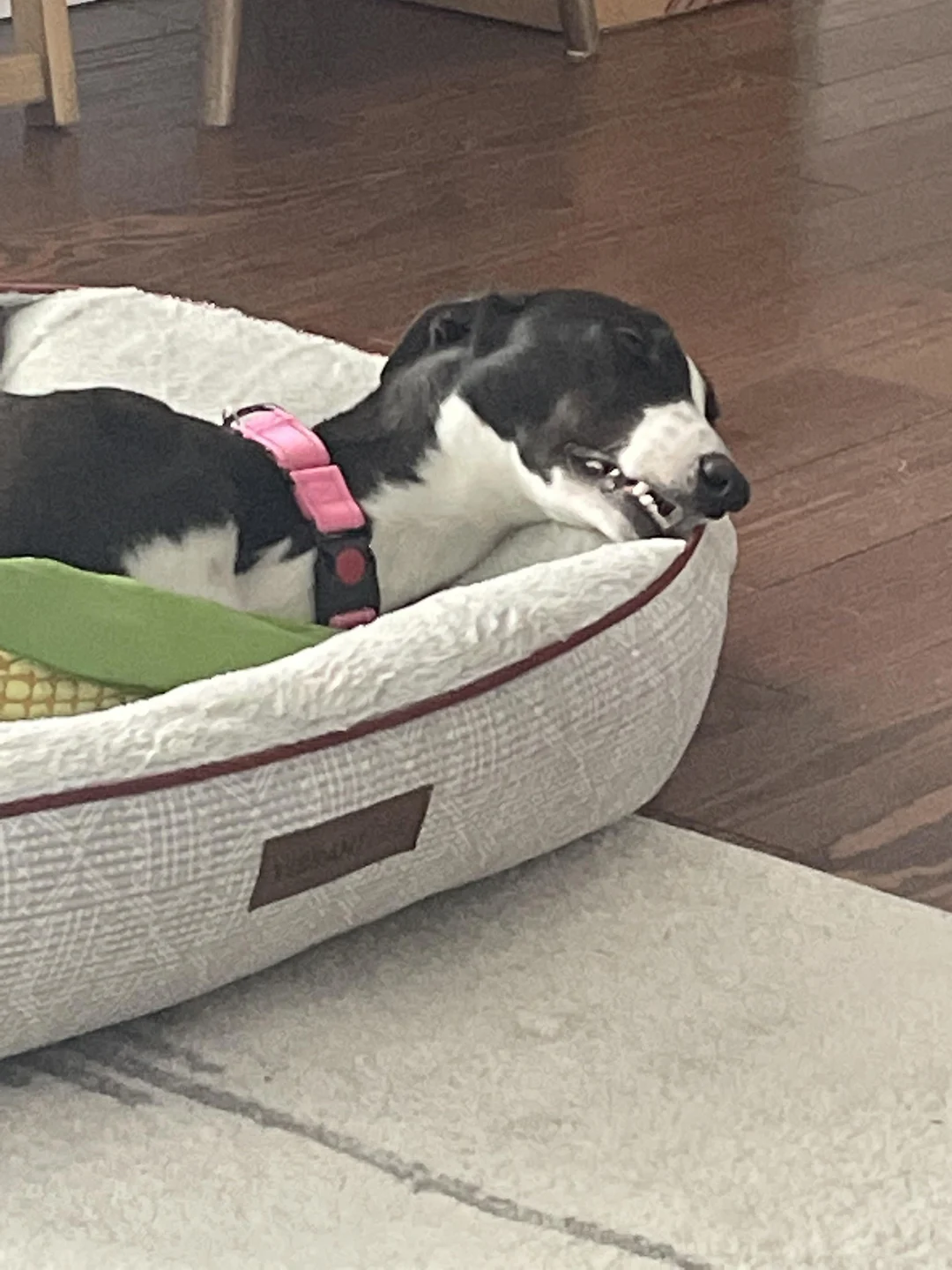 Jill.exe has stopped working | Scrolller