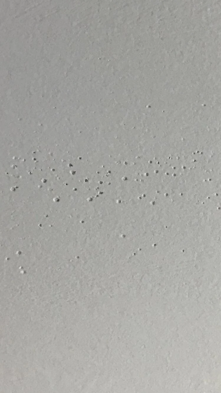 Anyone know what these tiny holes in bathroom ceiling are from? | Scrolller