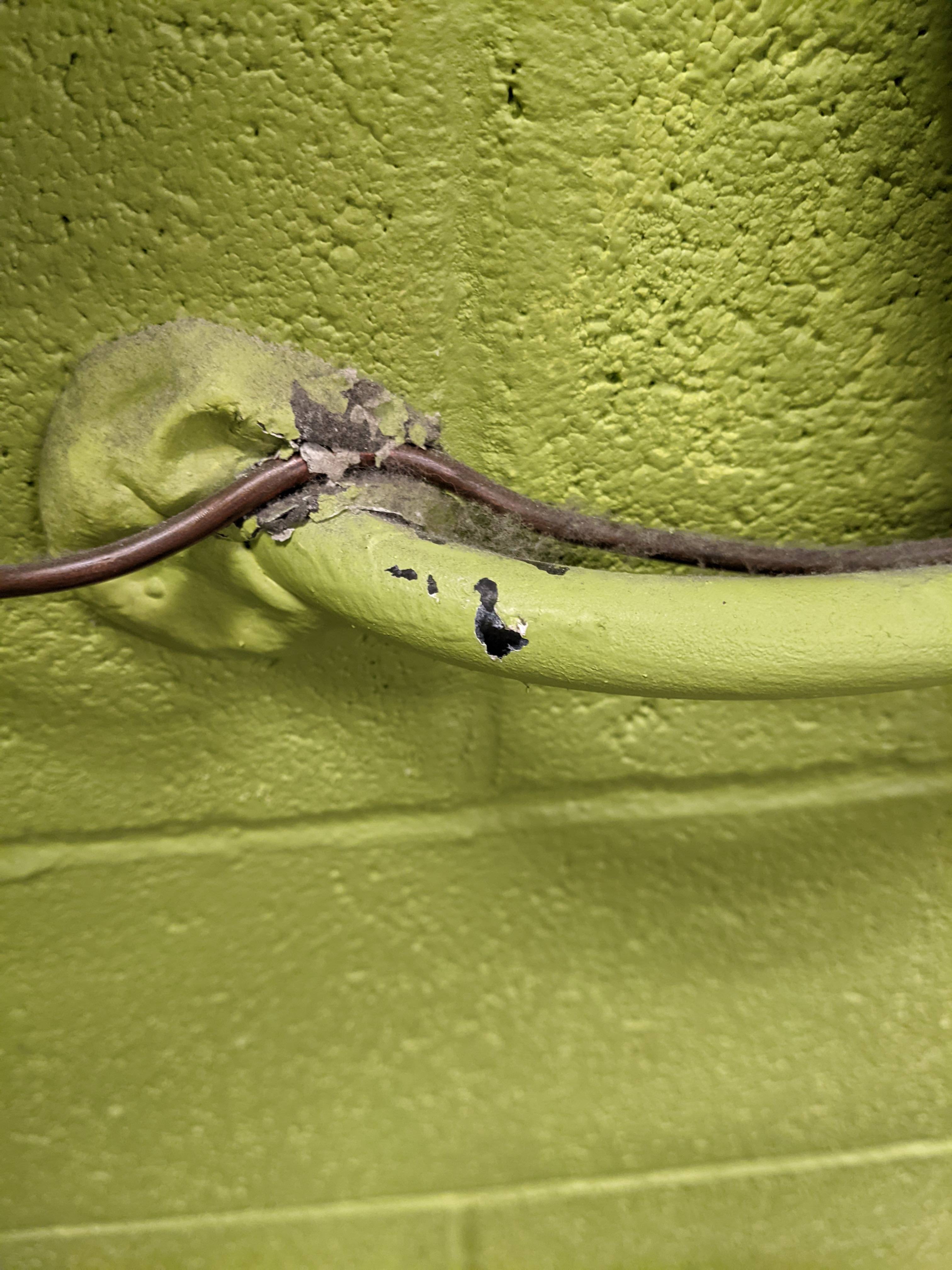 Paint chip on the conduit looks like a duck | Scrolller