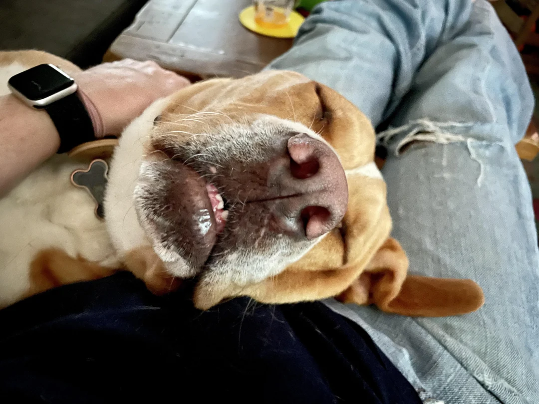 She’s such a weirdo | Scrolller