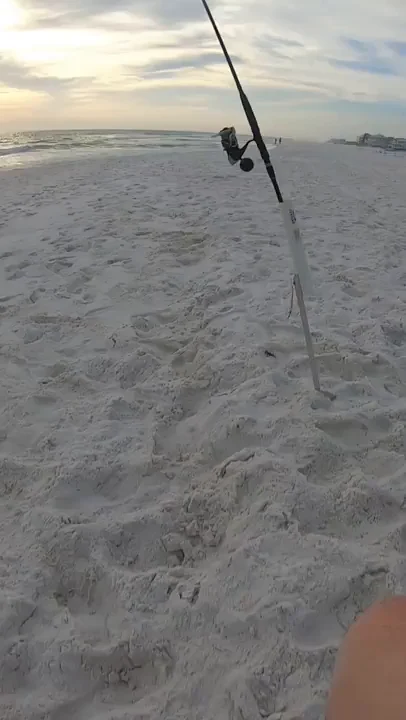 When a shark eats the Pompano you just hooked! | Scrolller