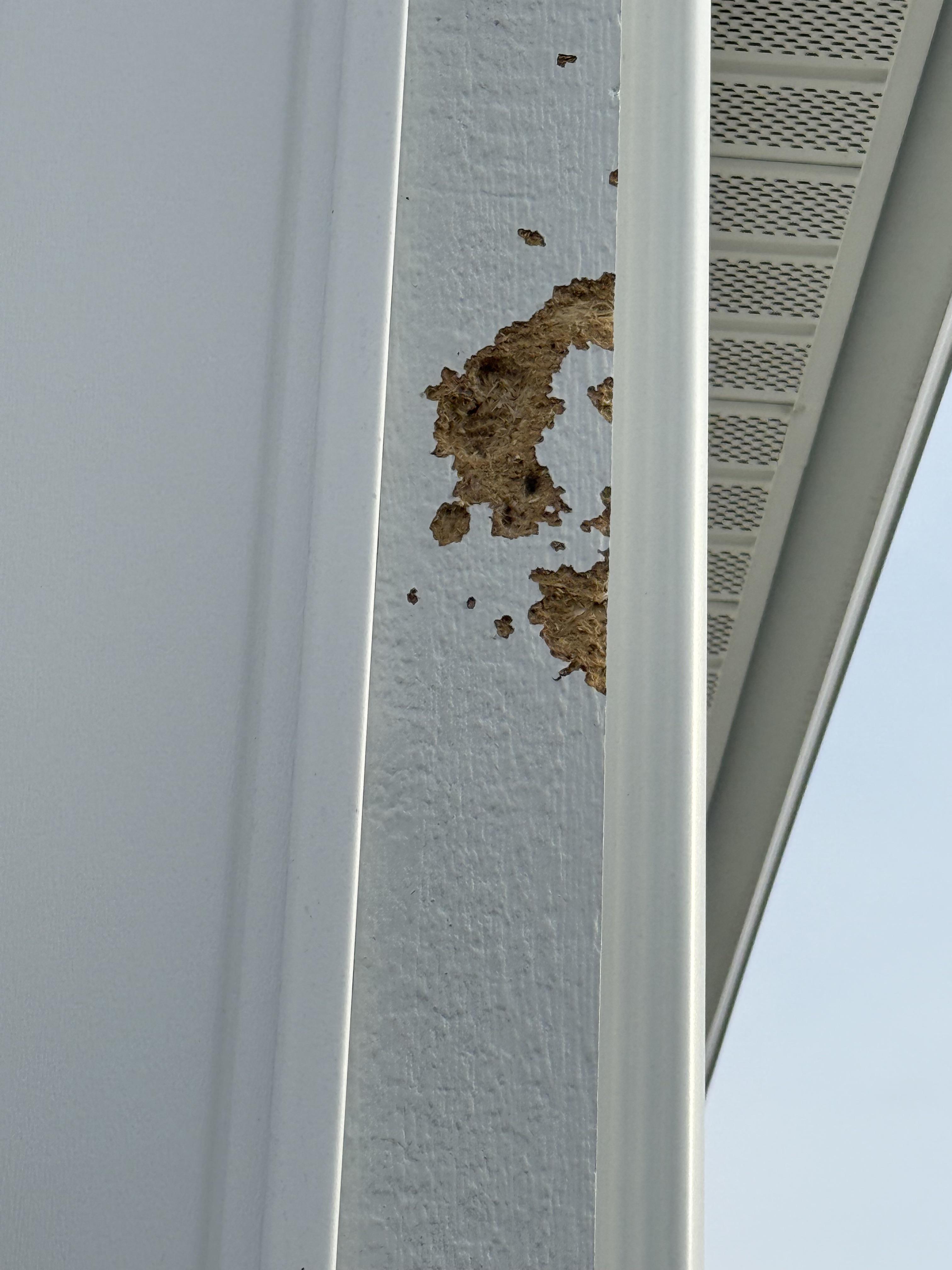 Exterior of the home issue? | Scrolller