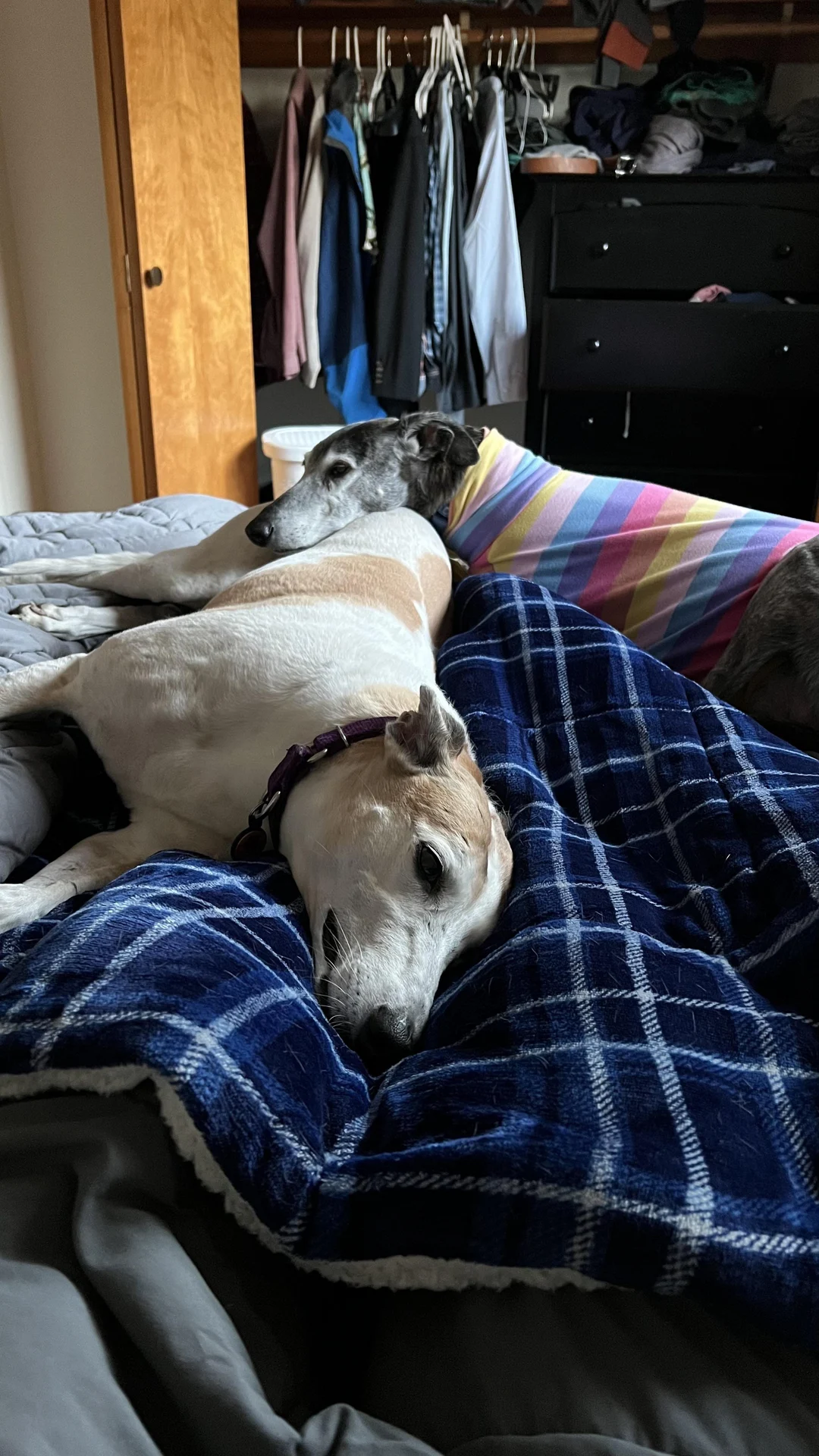 My sister’s butt is my headrest | Scrolller