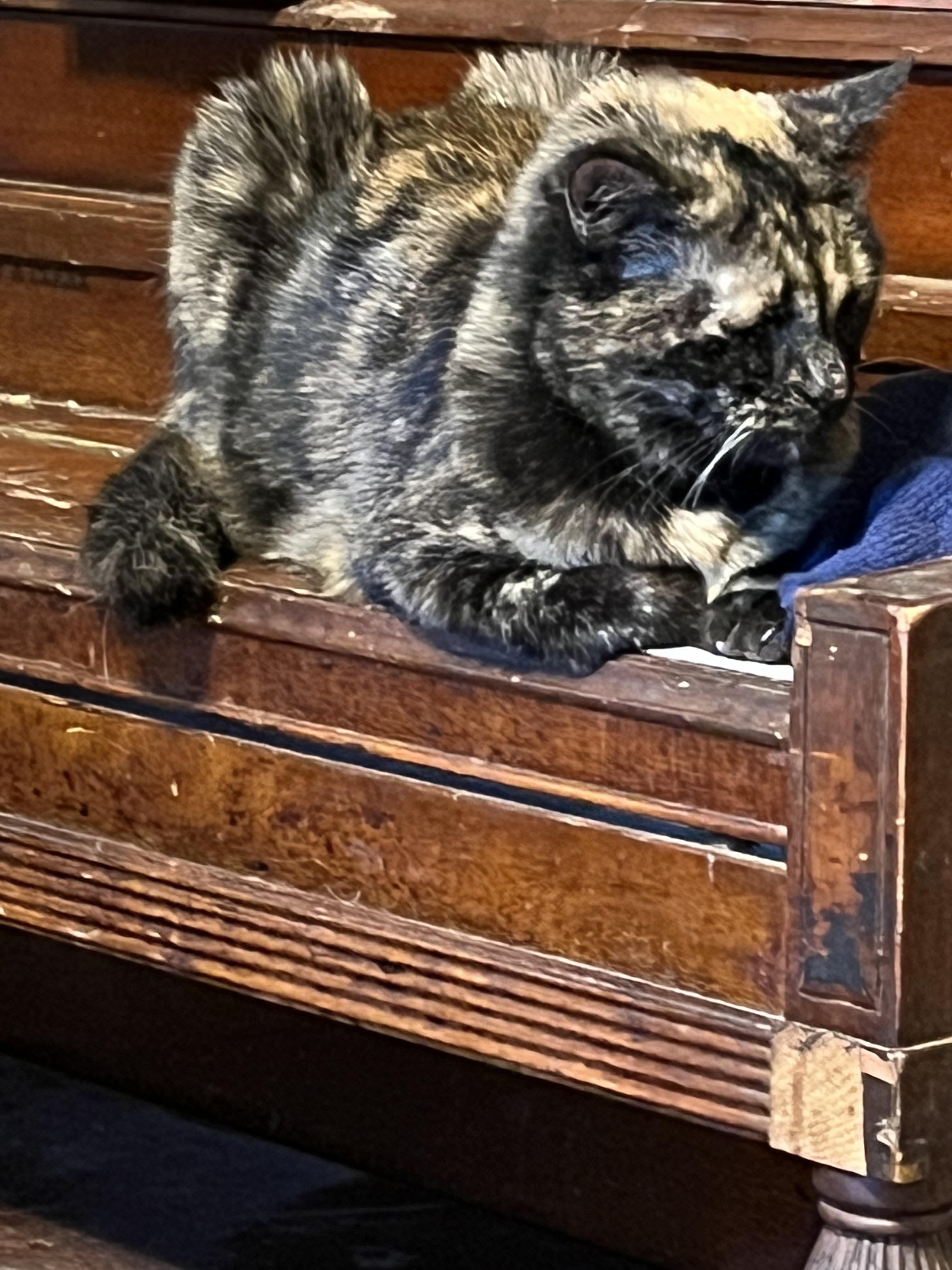 Old almost loaf | Scrolller