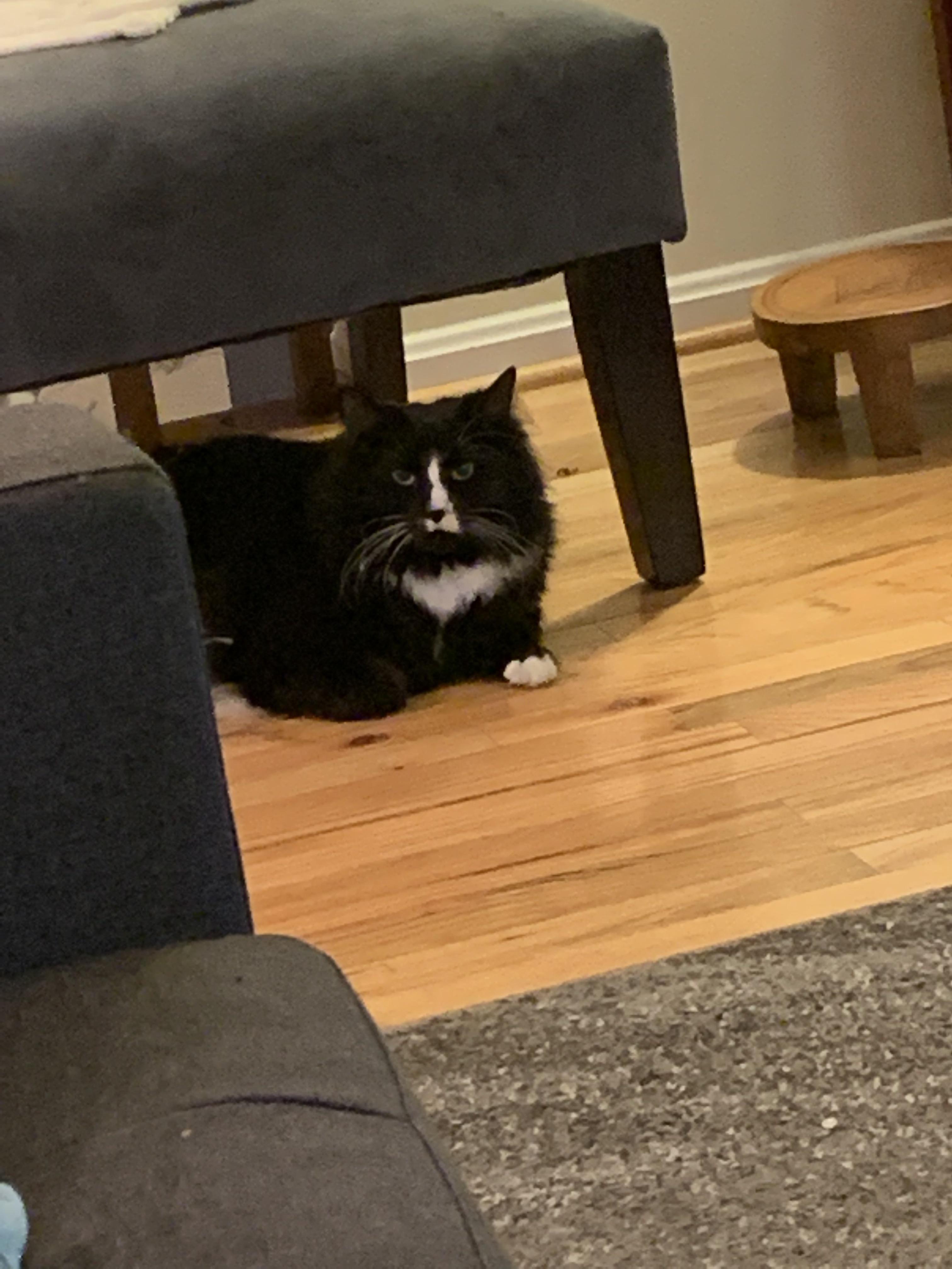 Midnight from afar | Scrolller