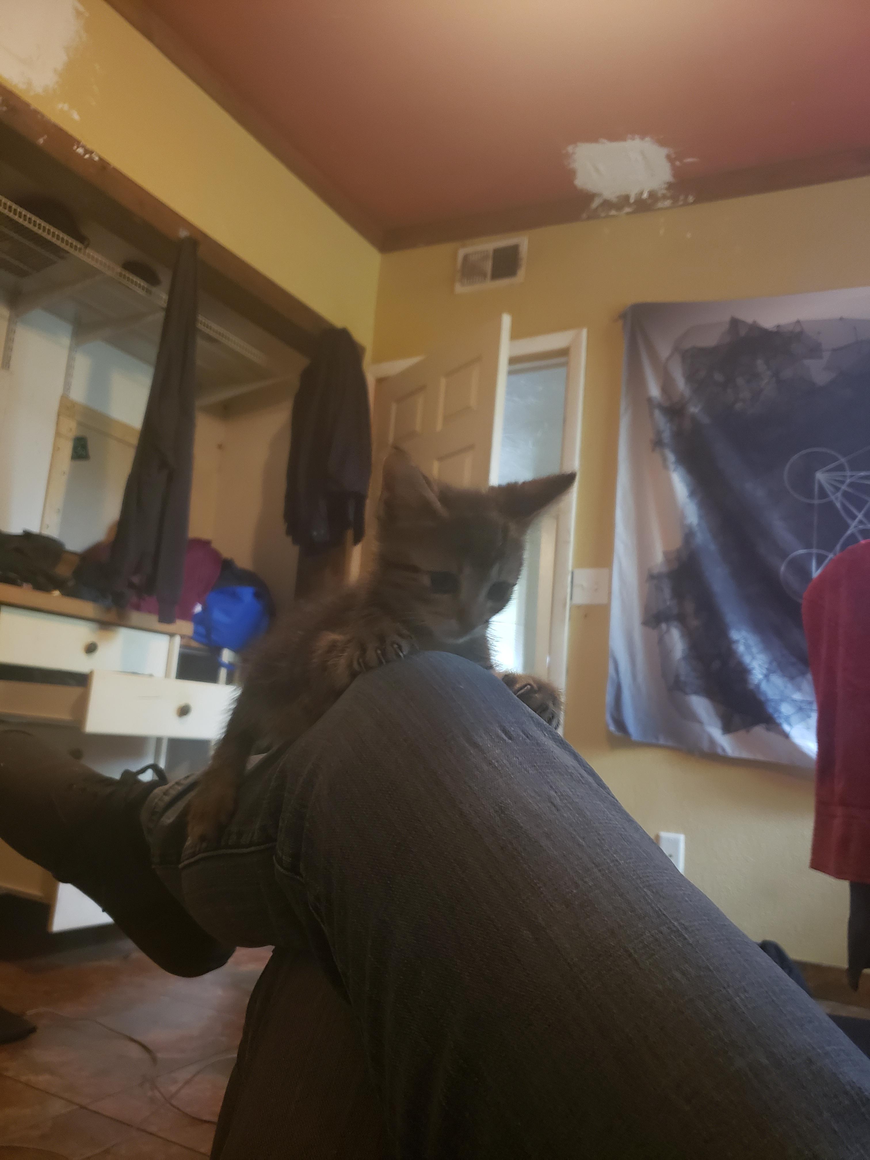 She caught me :( | Scrolller