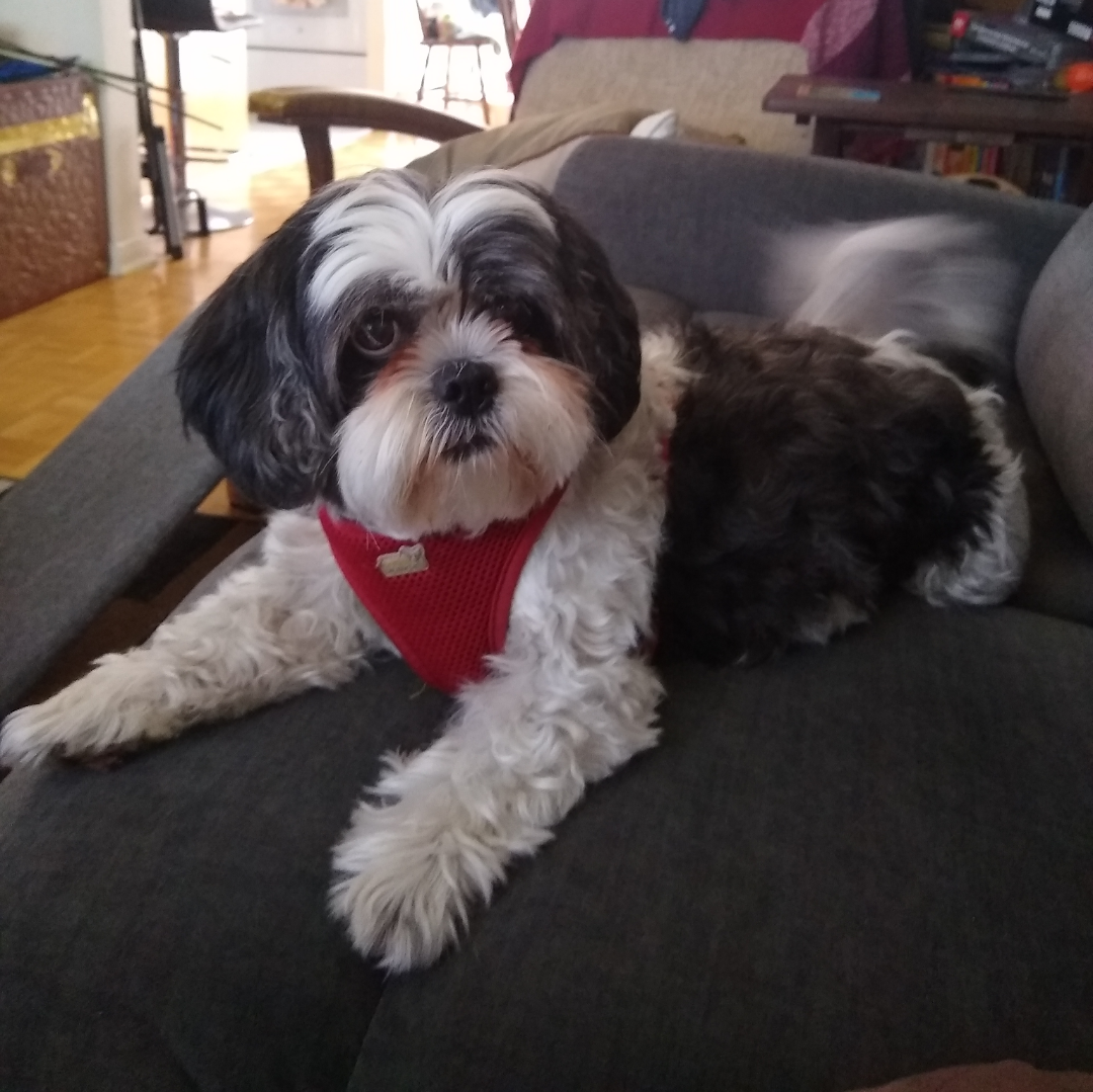 Here's my little grumpy girl | Scrolller