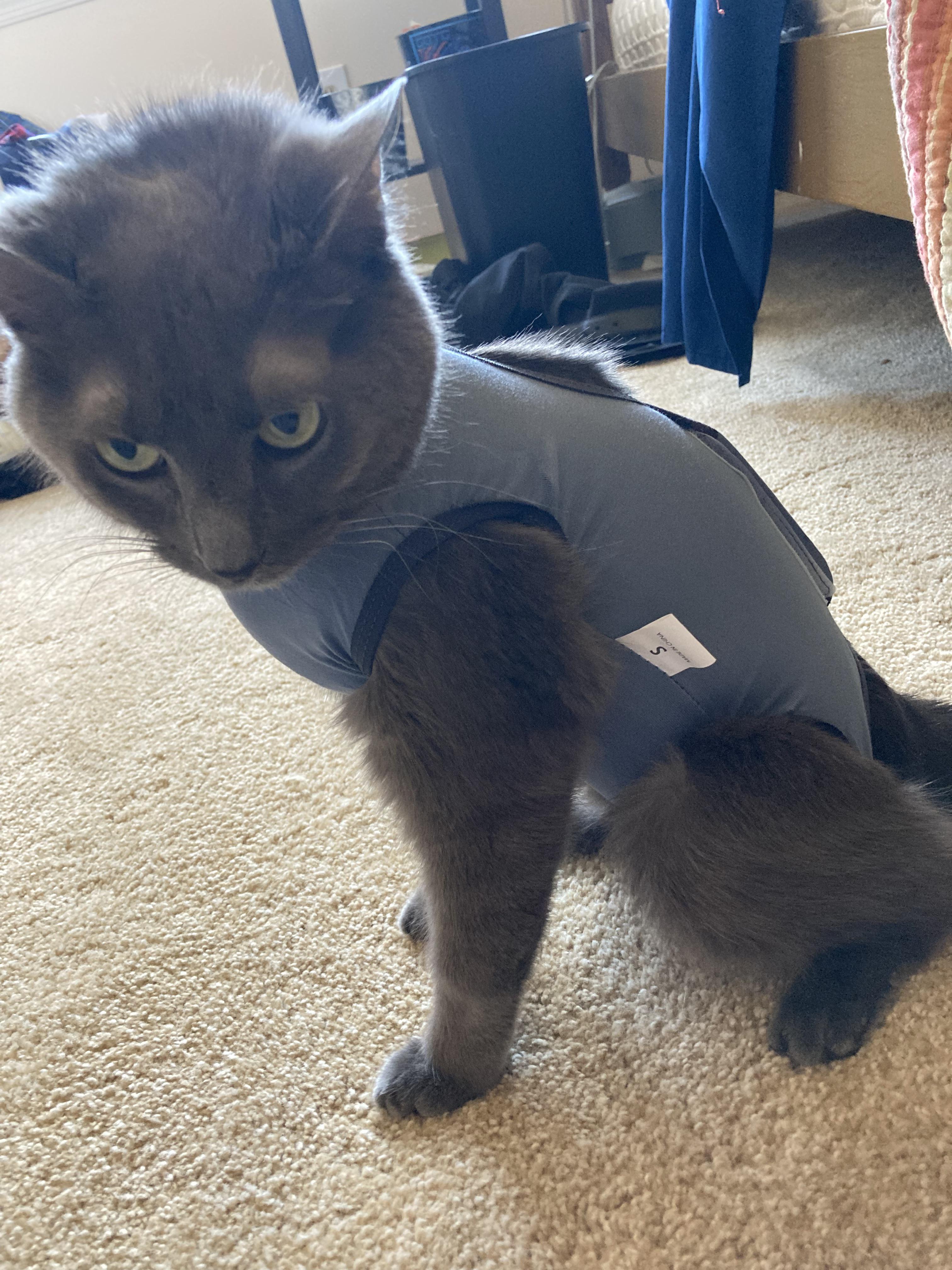 Plotting her revenge… | Scrolller