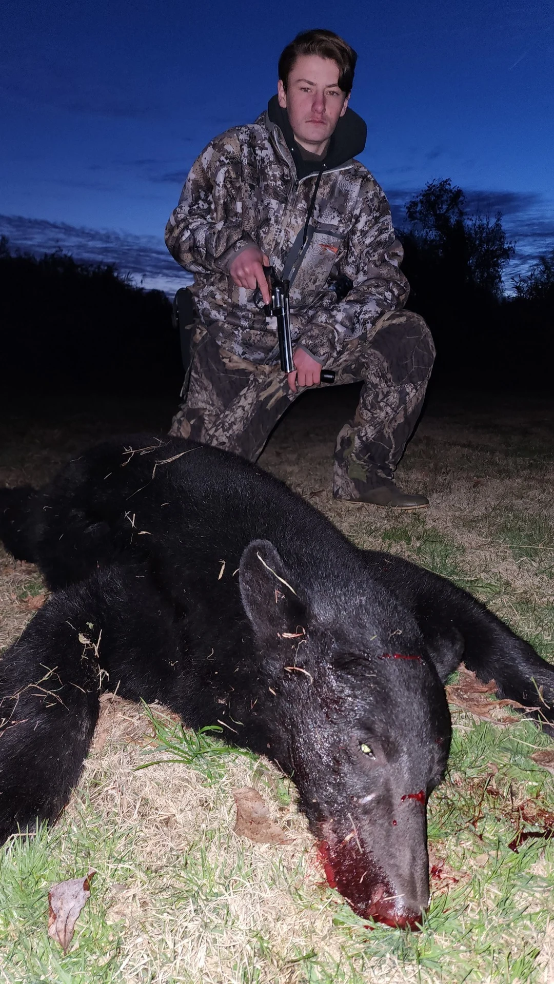 Last years bear | Scrolller