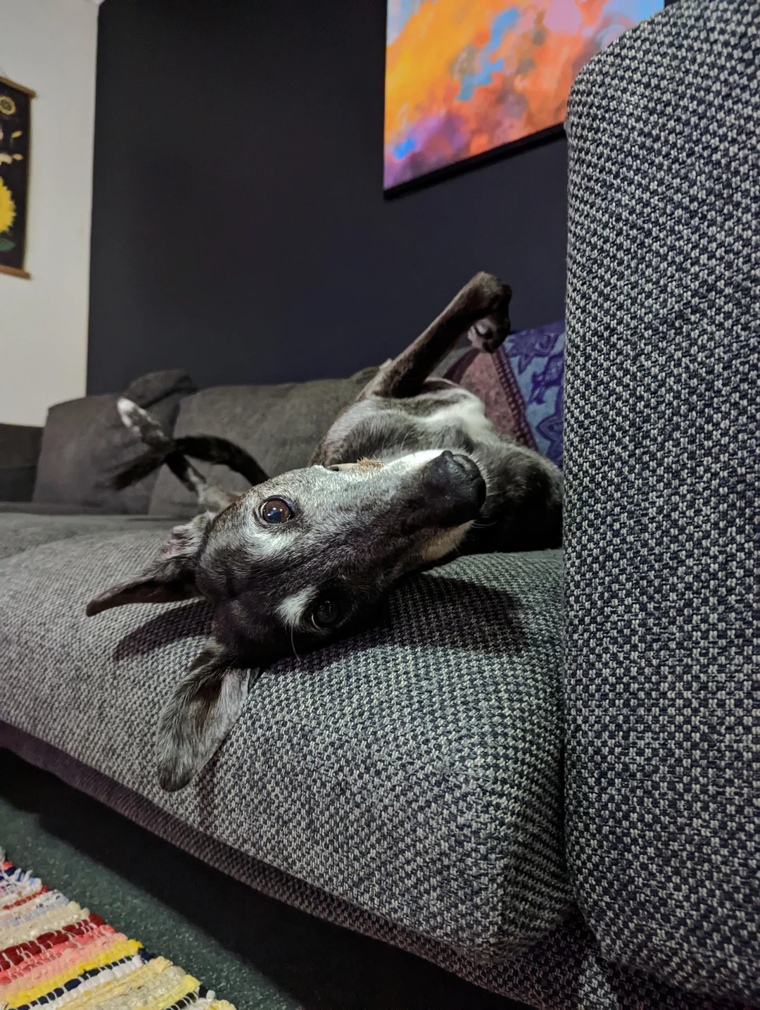 An upside down Annie | Scrolller